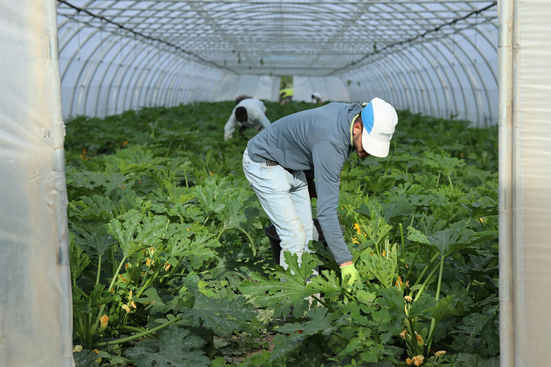 Politique + Société – The Conversation France