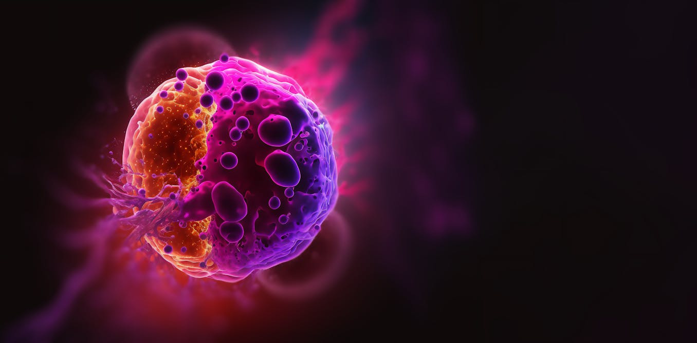 R21 anti-malaria vaccine is a game changer: scientist who helped design ... R21 anti-malaria vaccine is a game changer: scientist who helped design ...