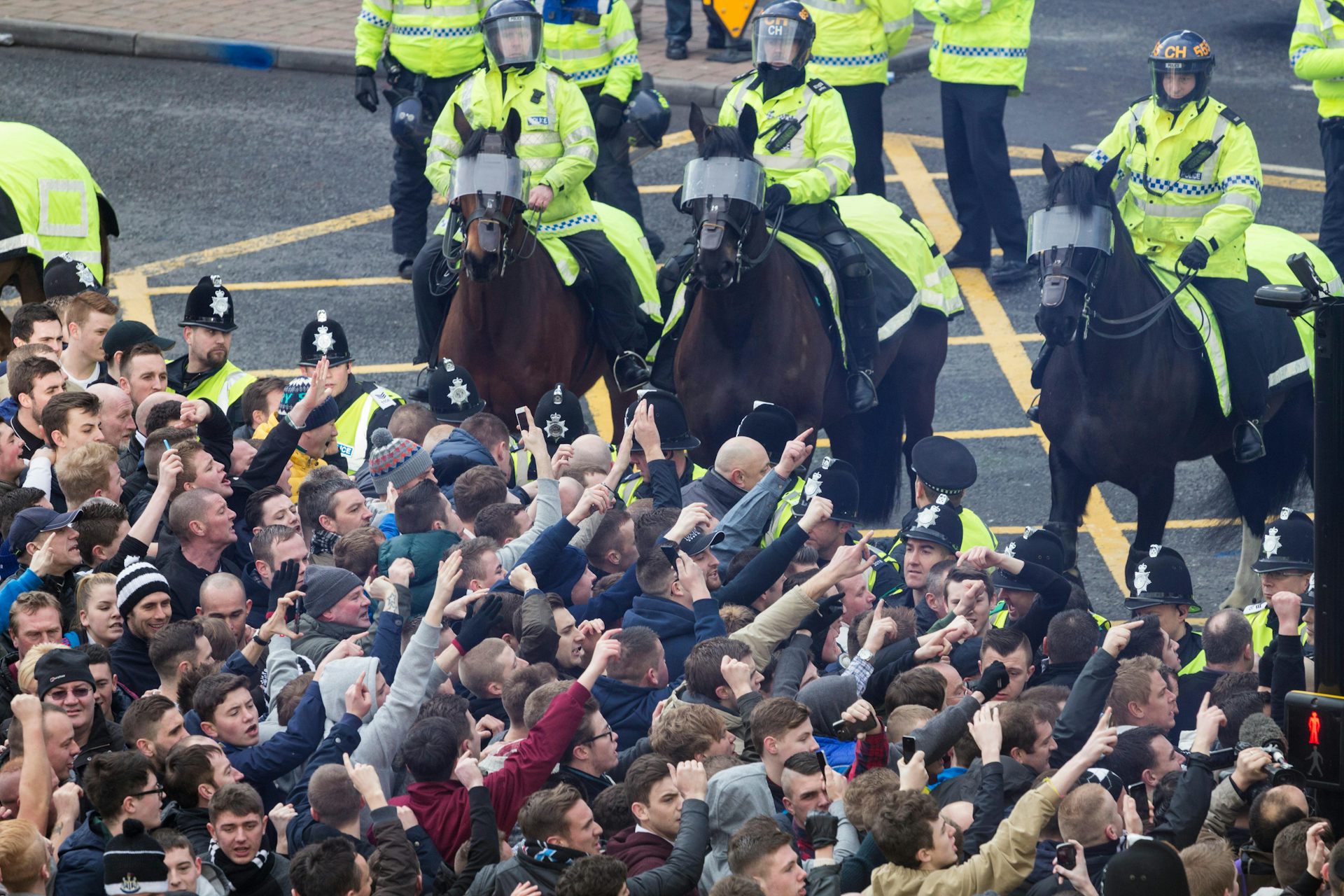 London’s runaway horses remind us that animals are workers too