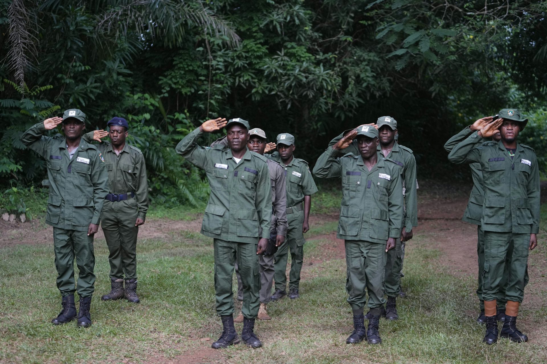 Protecting wildlife begins with understanding how best to counter ...