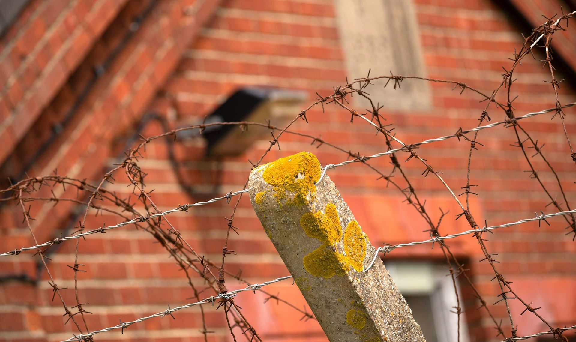 Asylum housing tycoon is among the UK’s wealthiest – here’s what ...