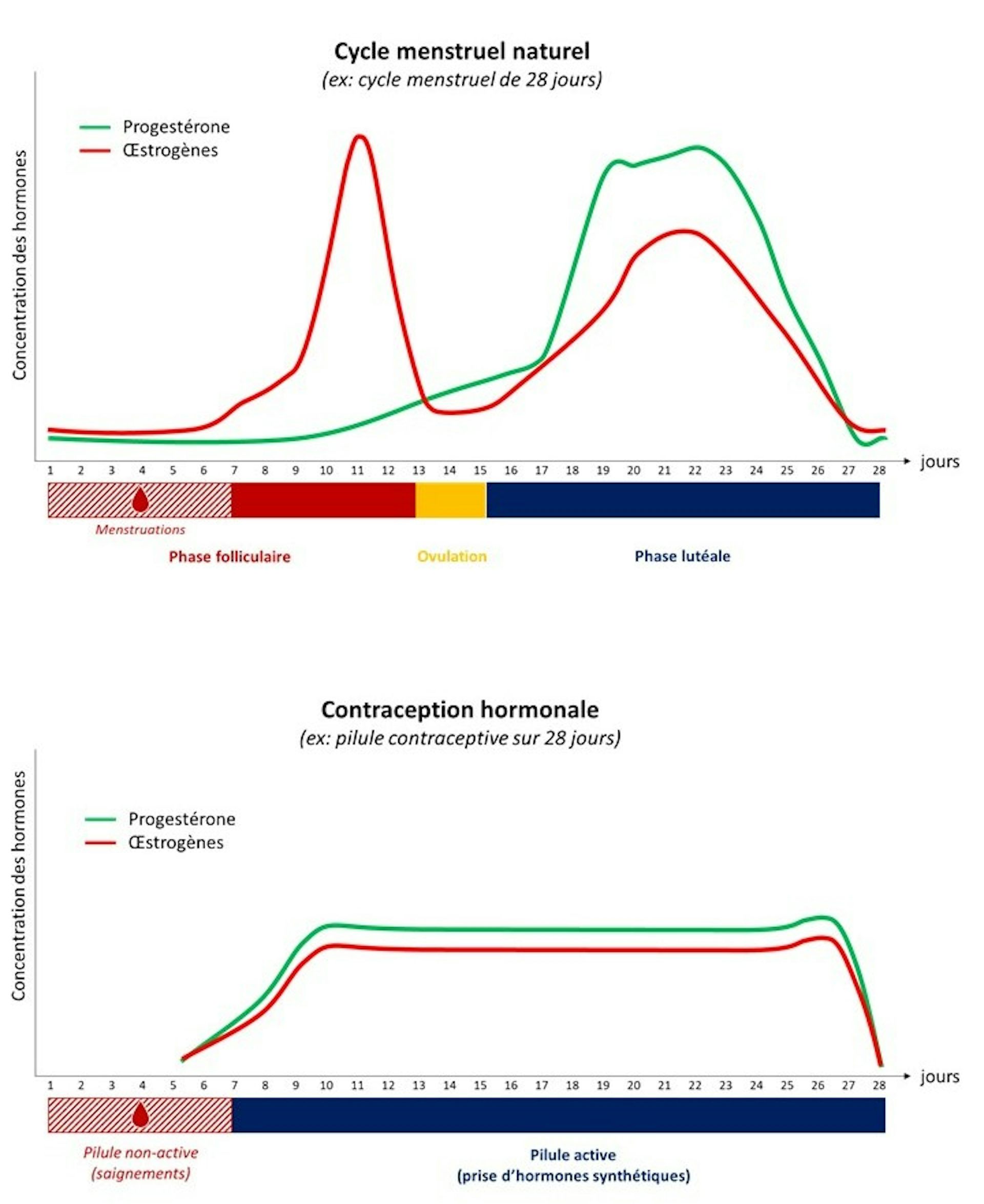 Cycle menstruel et contraception hormonale : quel impact sur les ...