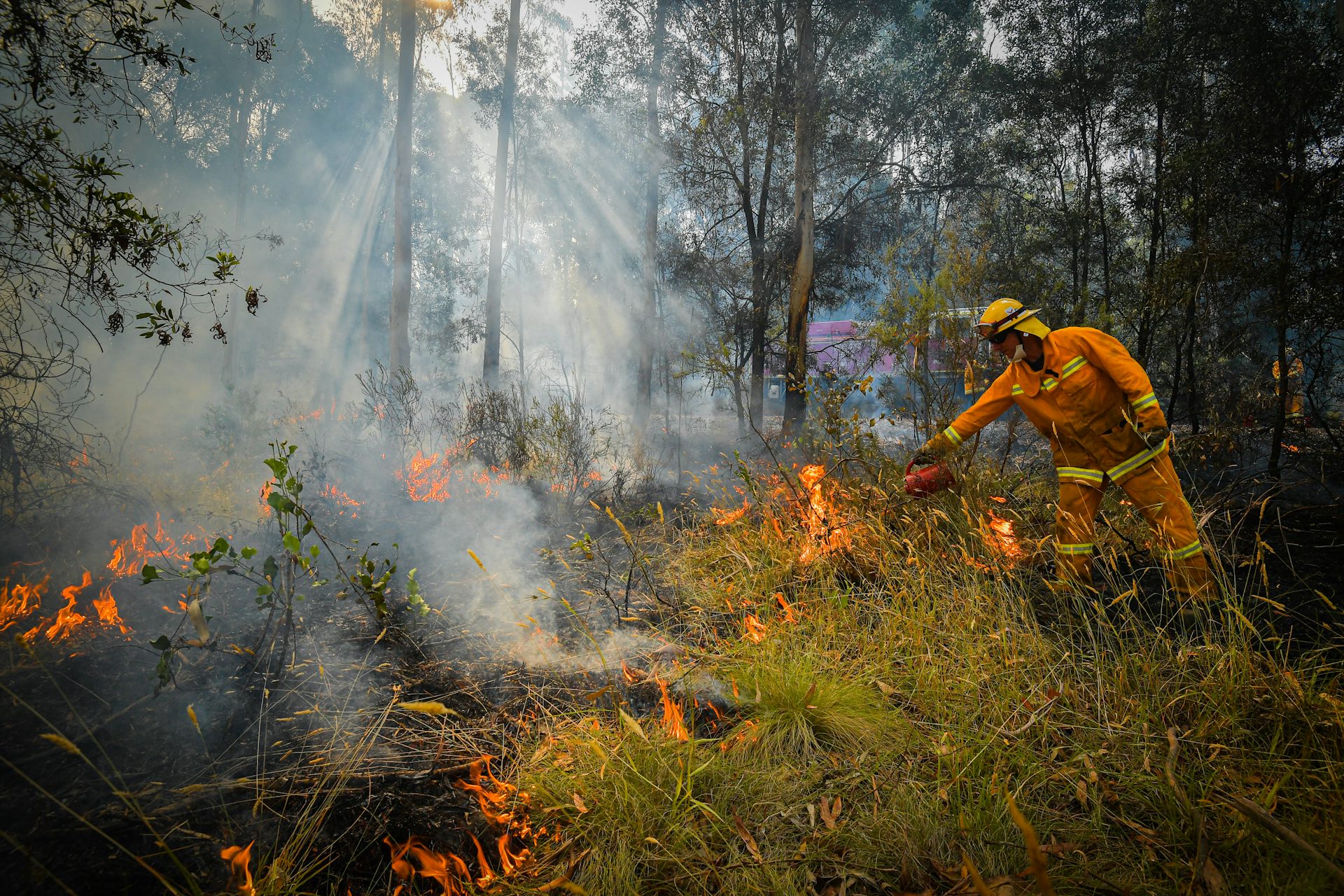 Bushfires – News, Research and Analysis – The Conversation – page 1