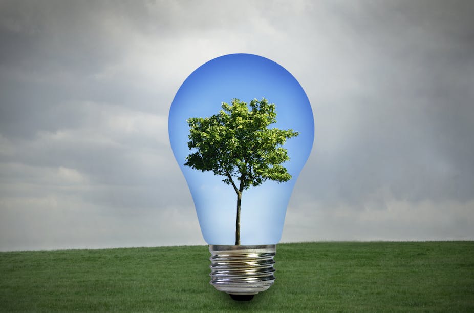Bioenergy: Australia’s forgotten renewable energy source (so far) Bioenergy: Australia’s forgotten renewable energy source (so far)