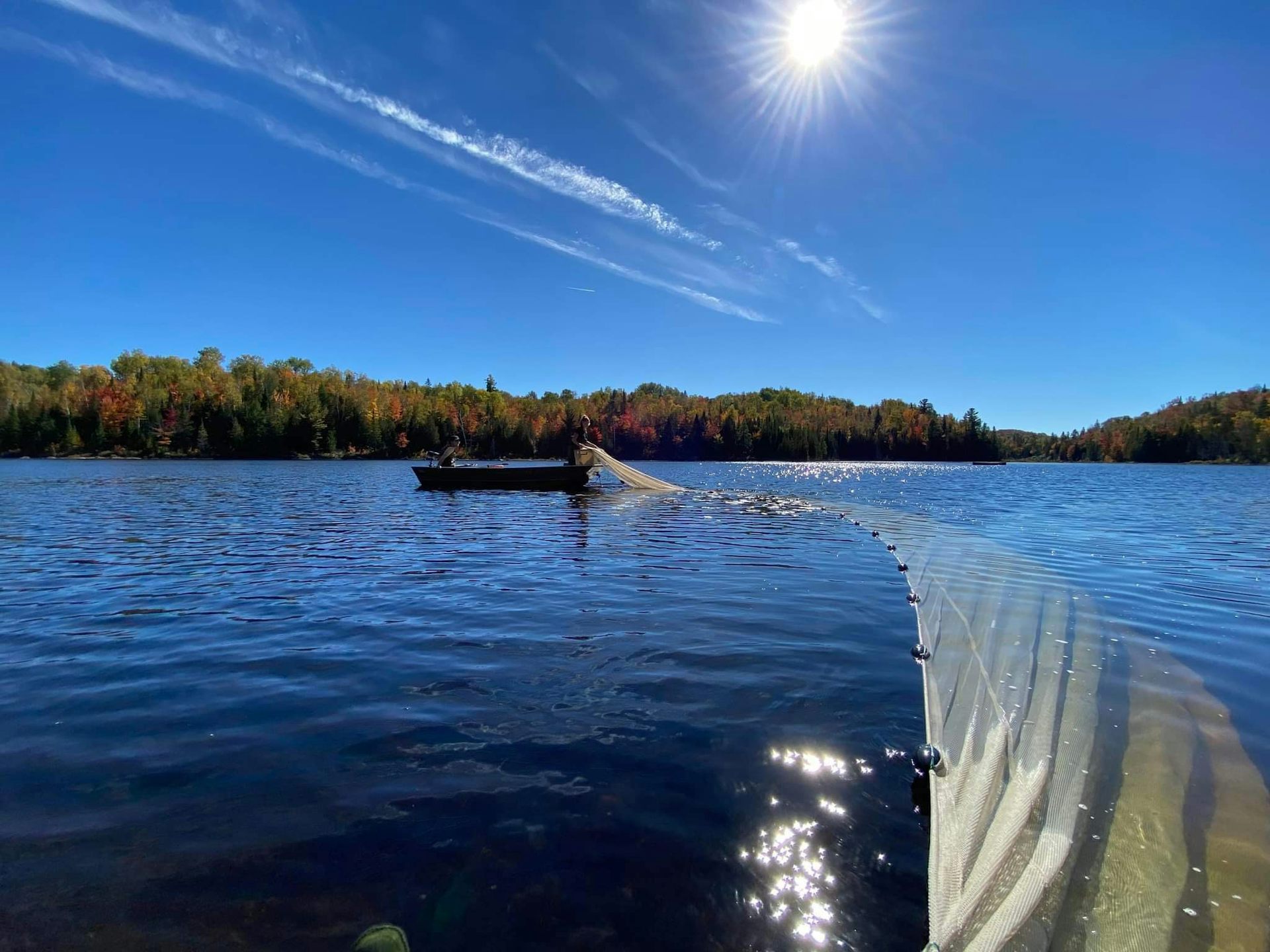 Our lakes are teeming with parasites. Why that’s good…and bad