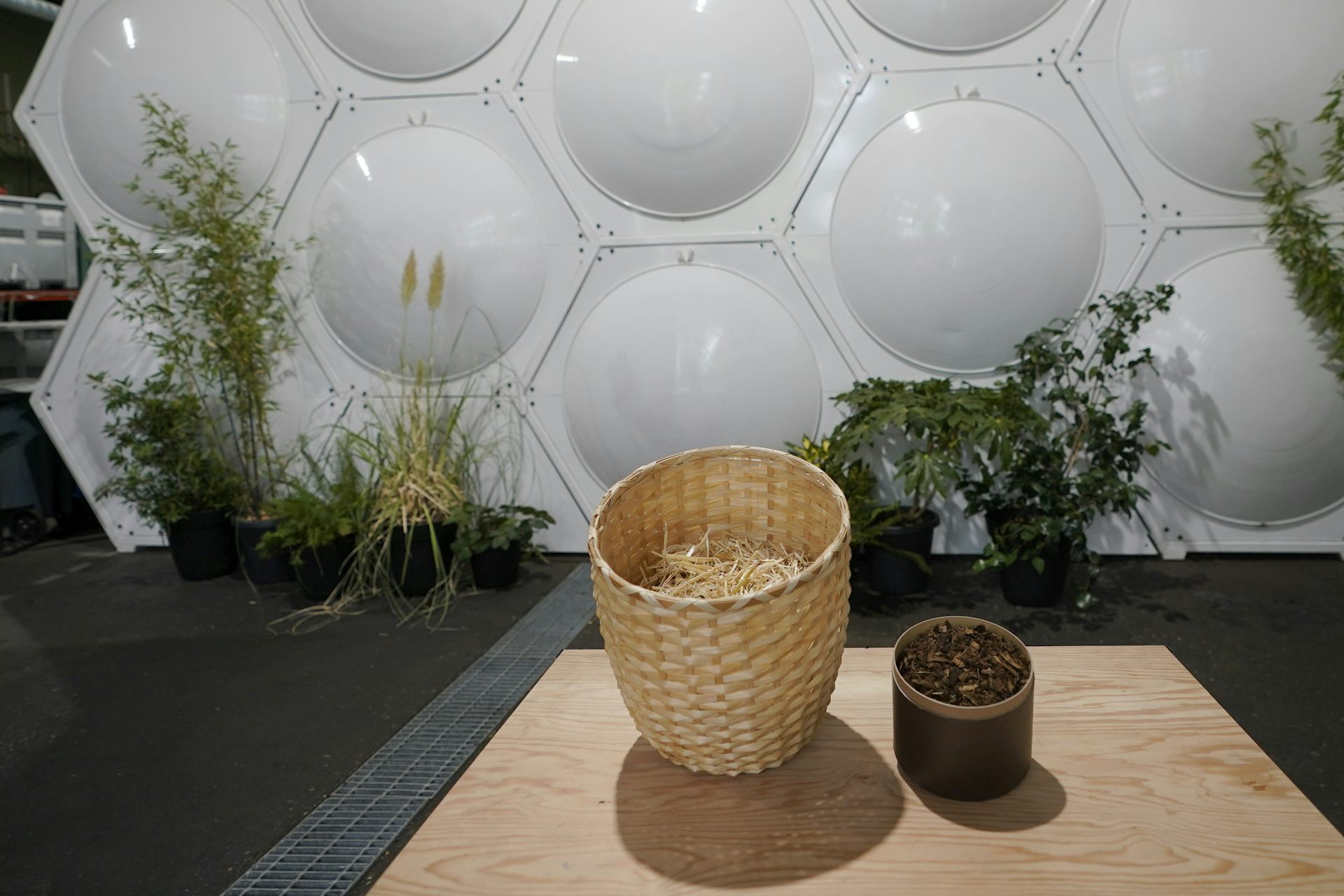 Keen to be sustainable after dying? Earth to earth, cradle to compost
