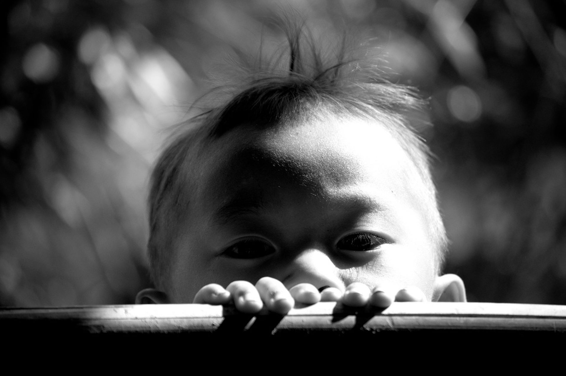 Curiosity changes the brain to boost memory and learning