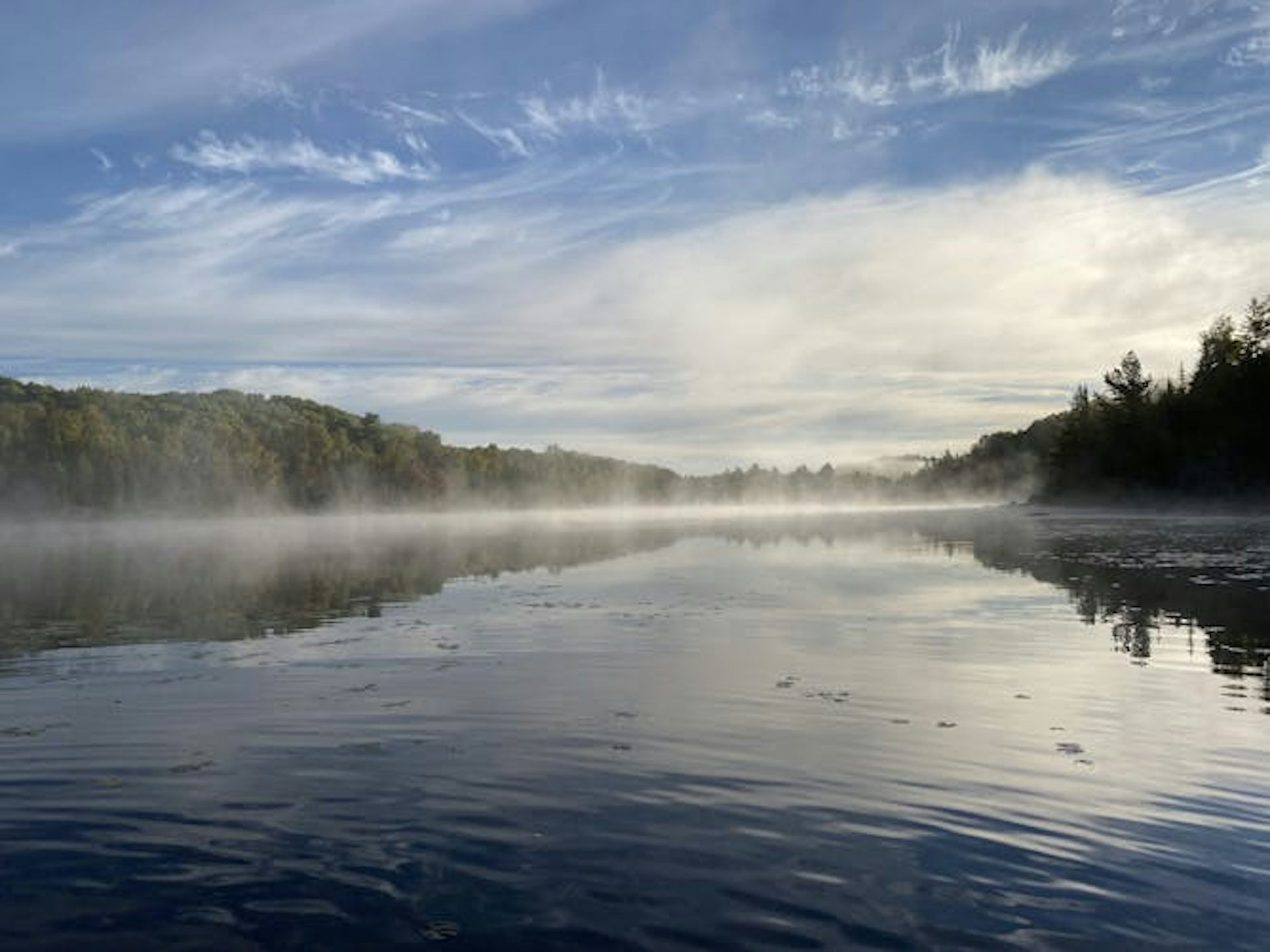 Our lakes are teeming with parasites. Why that’s good…and bad