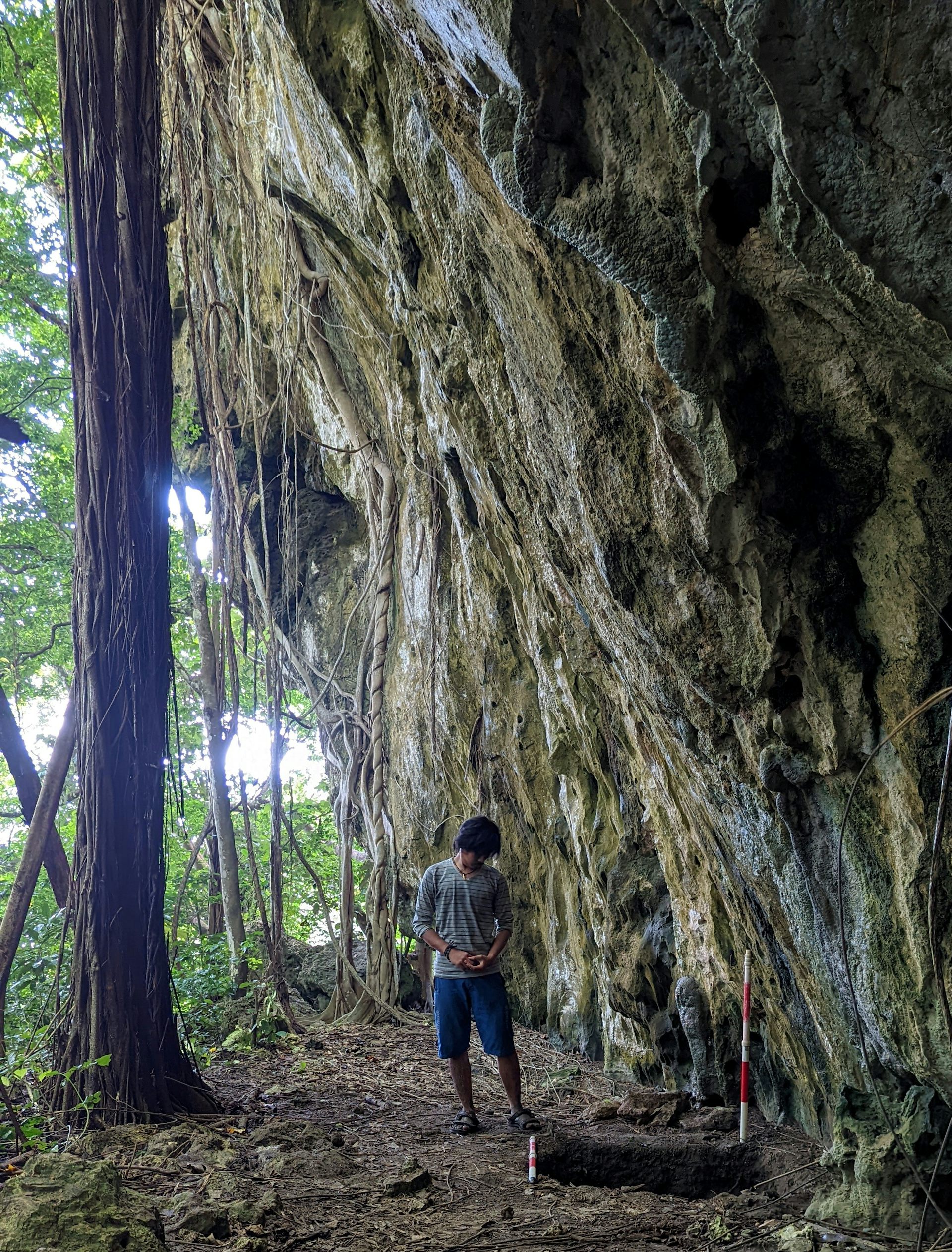 Dari Sunda ke Sahul: perjalanan epik manusia purba dan temuan penting ...