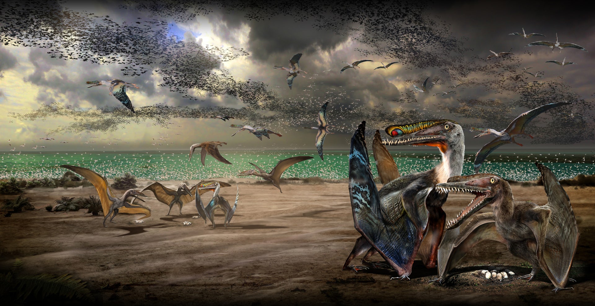 Why we think that some extinct giant flying reptiles cared for their young