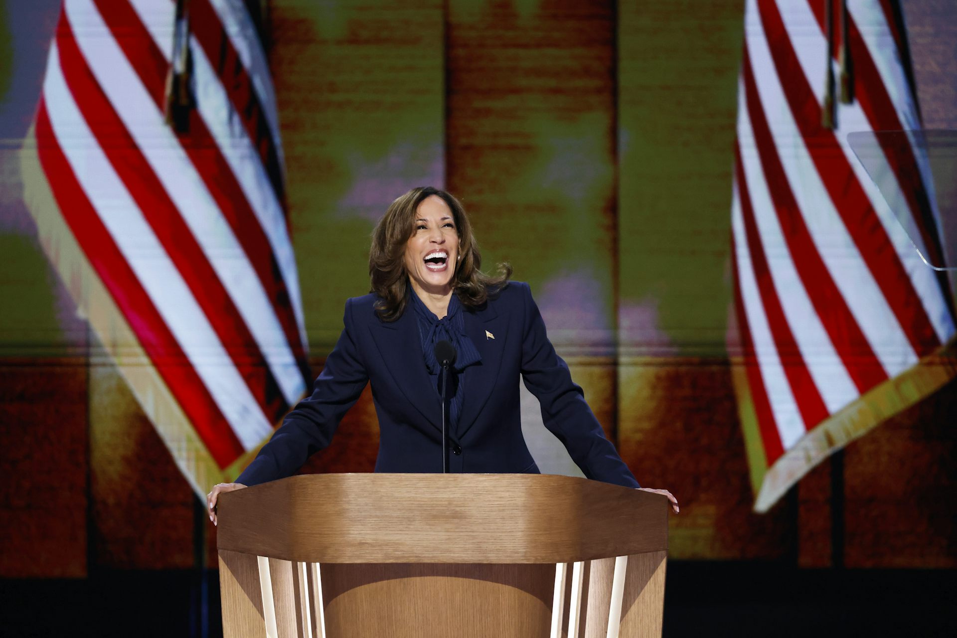Harris delivers warm and strong acceptance speech as Democrats take joy ...