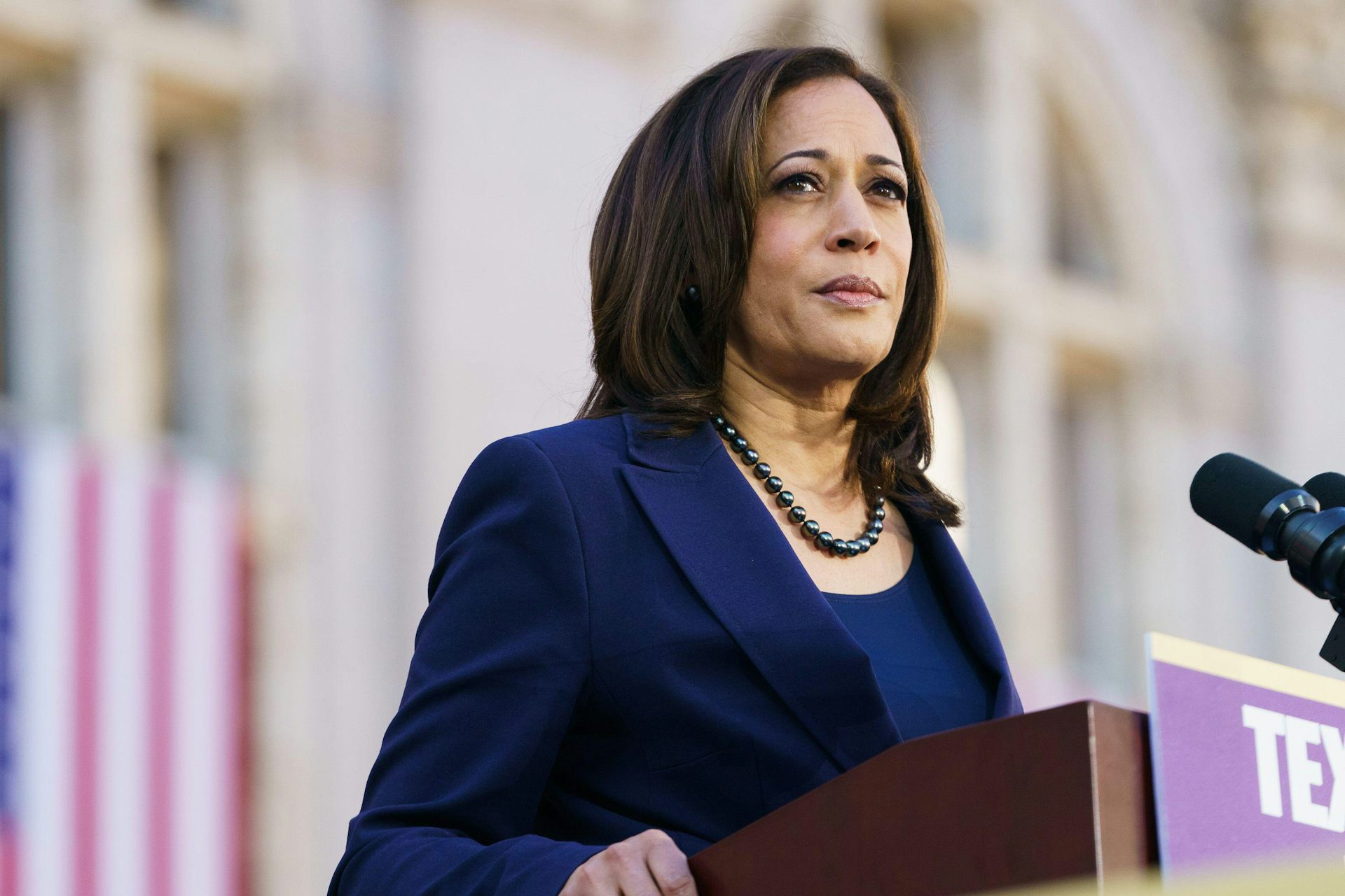 Kamala Harris: here’s what we’ve found out so far about the ...