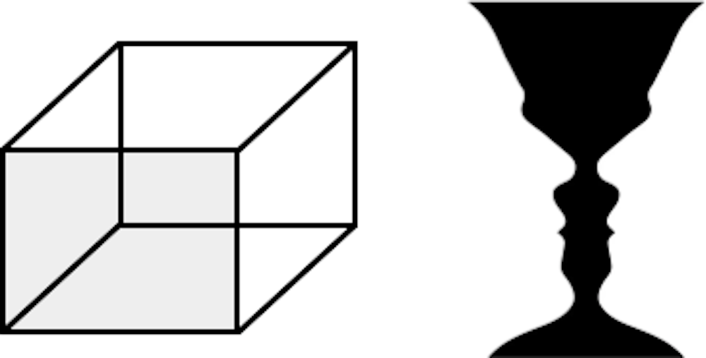 A Quantum Neural Network Can See Optical Illusions…