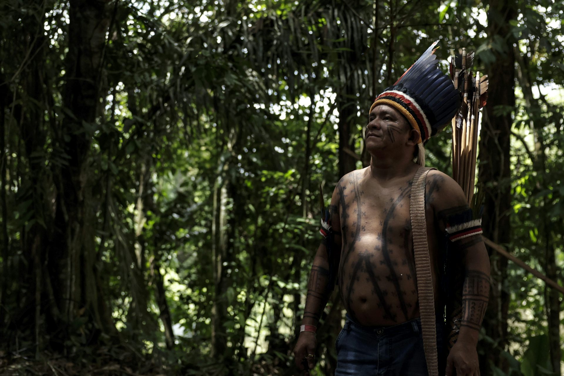 For decades, we’ve been told 80% of the world’s biodiversity is found ...