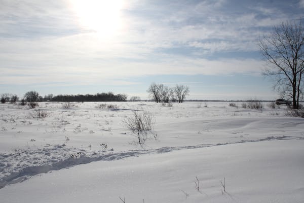 Scientists Discover a Hidden Clue to Tell When a Frozen Corpse Died ... Scientists Discover a Hidden Clue to Tell When a Frozen Corpse Died ...
