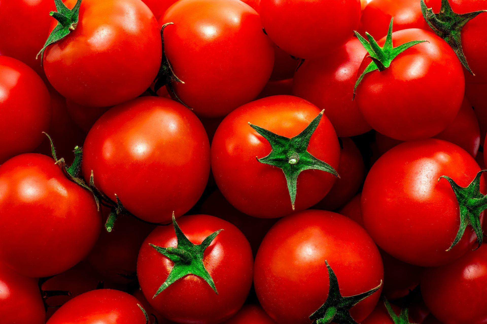 Por que os tomates comuns não têm mais o mesmo sabor de antes?