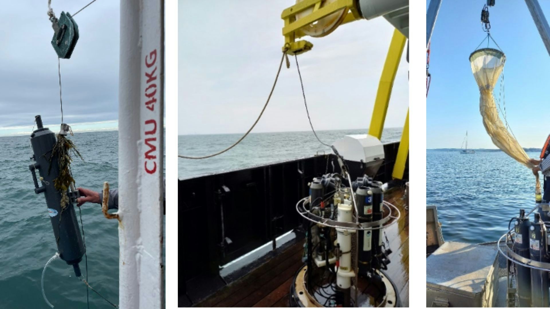 Le phytoplancton, essentiel à nos vies, mais impacté par le changement ...