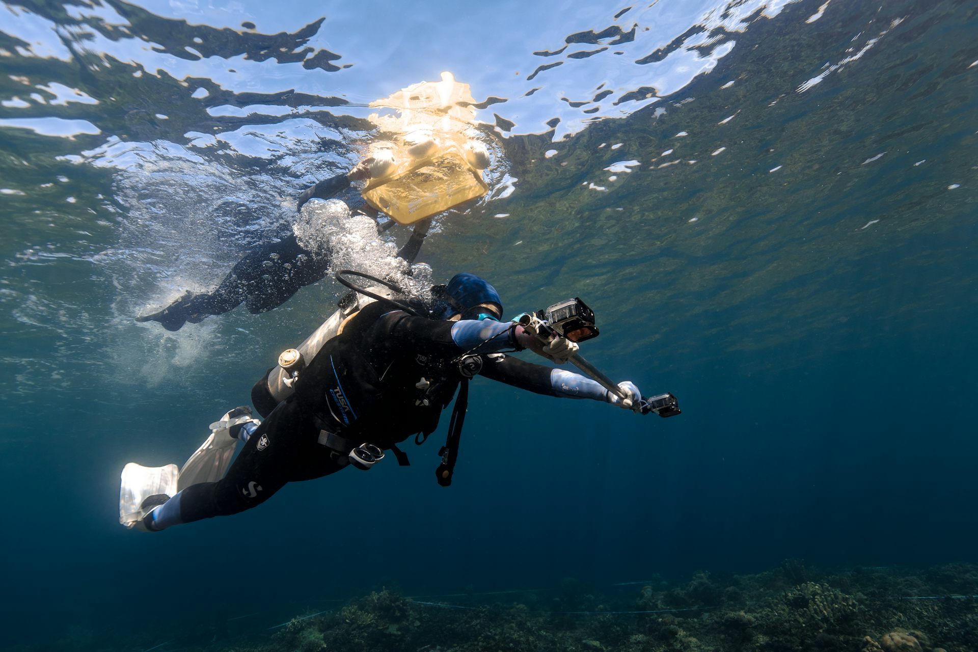 Our digital 3D models of huge coral reefs could help revive these ...