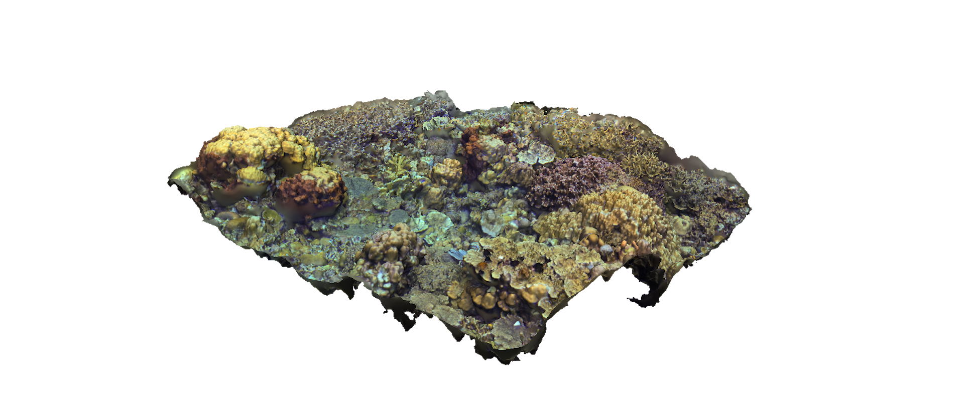 Our digital 3D models of huge coral reefs could help revive these ...