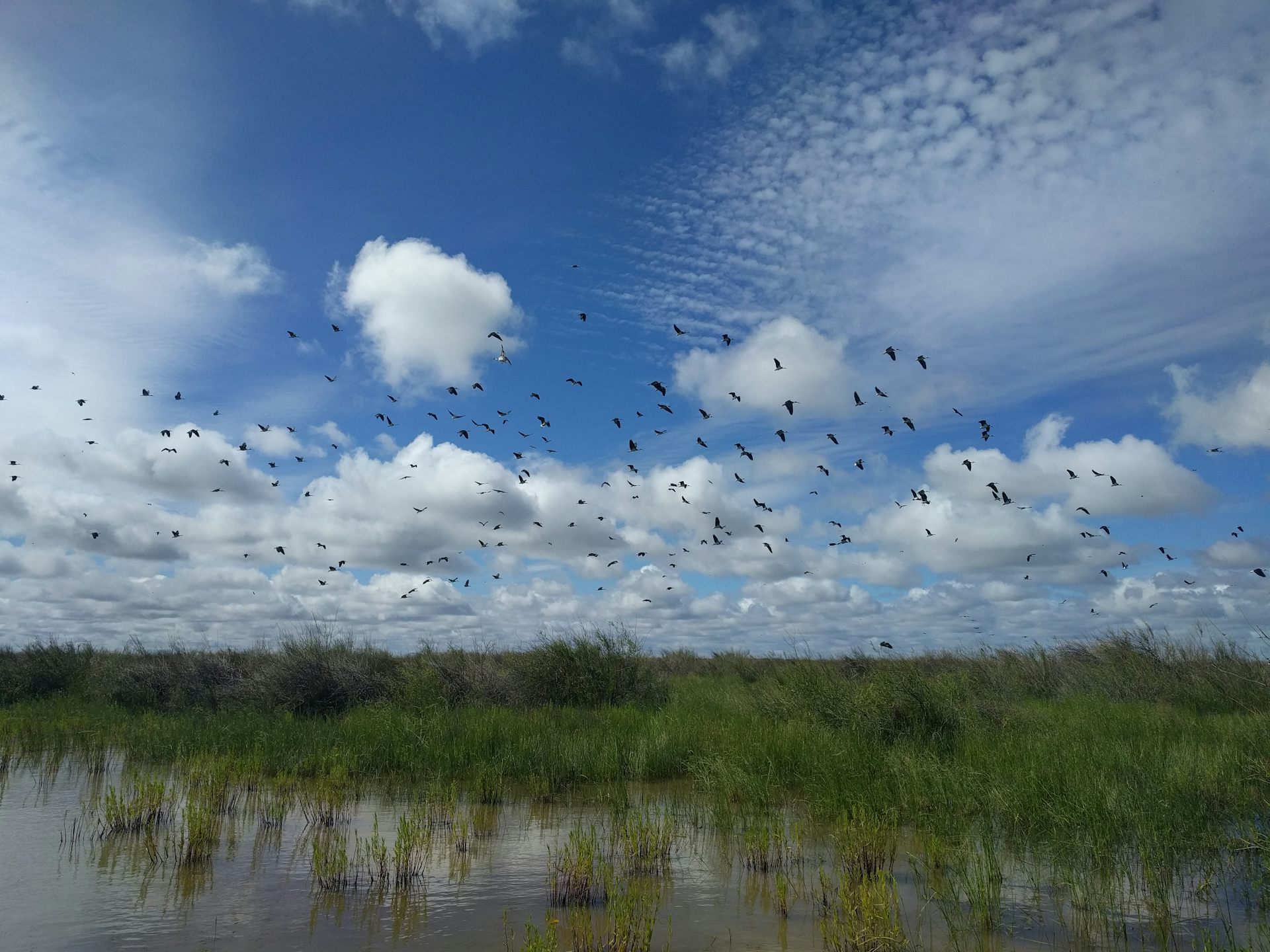 Why building more big dams is a costly gamble for our future water ...
