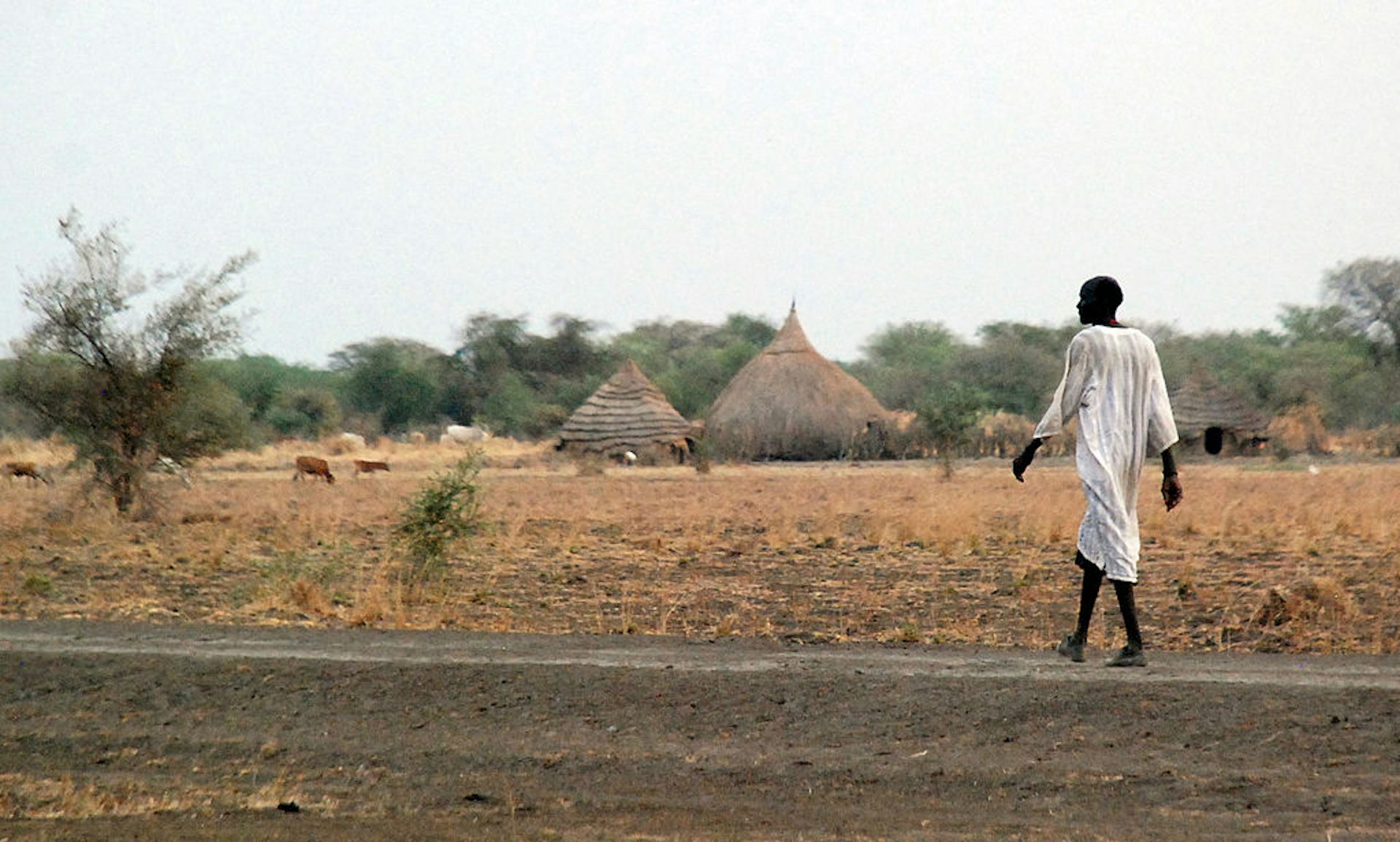 Nuer people have a sacred connection to birds – it can guide ...