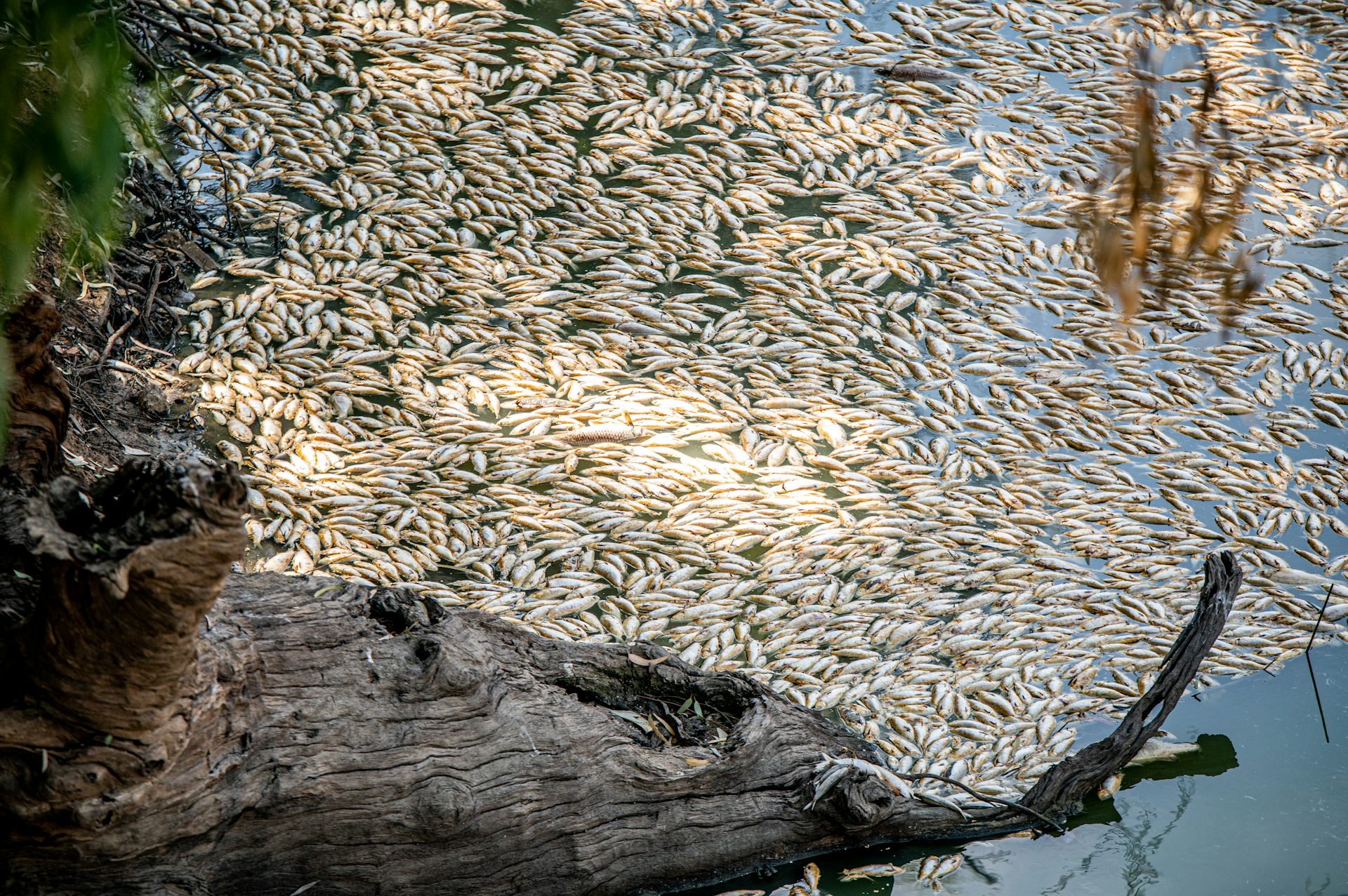 New research reveals why the mighty Darling River is drying up – and it ...