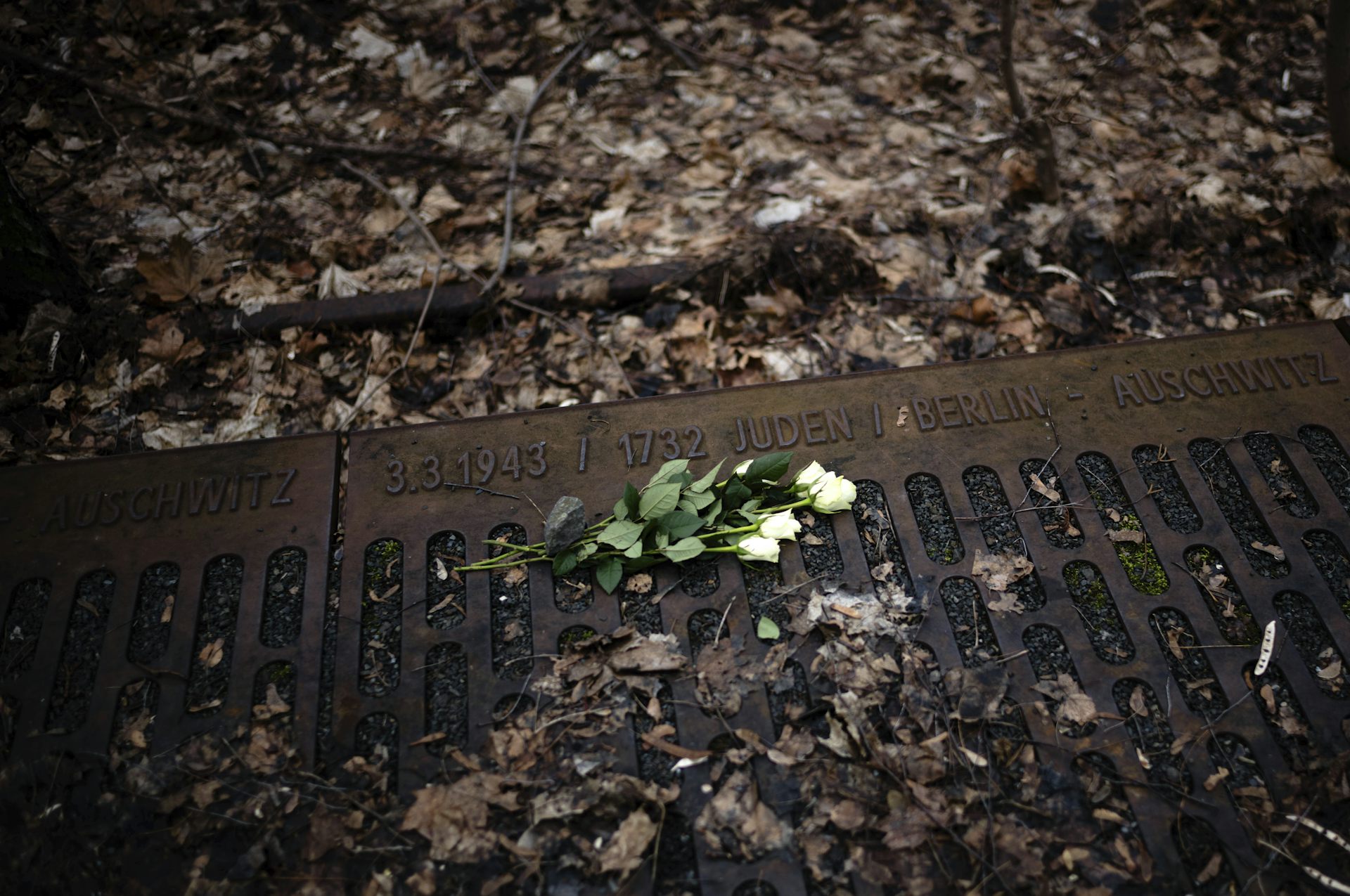 Gen Z knowledge about the Holocaust matters for ongoing reconciliation ...