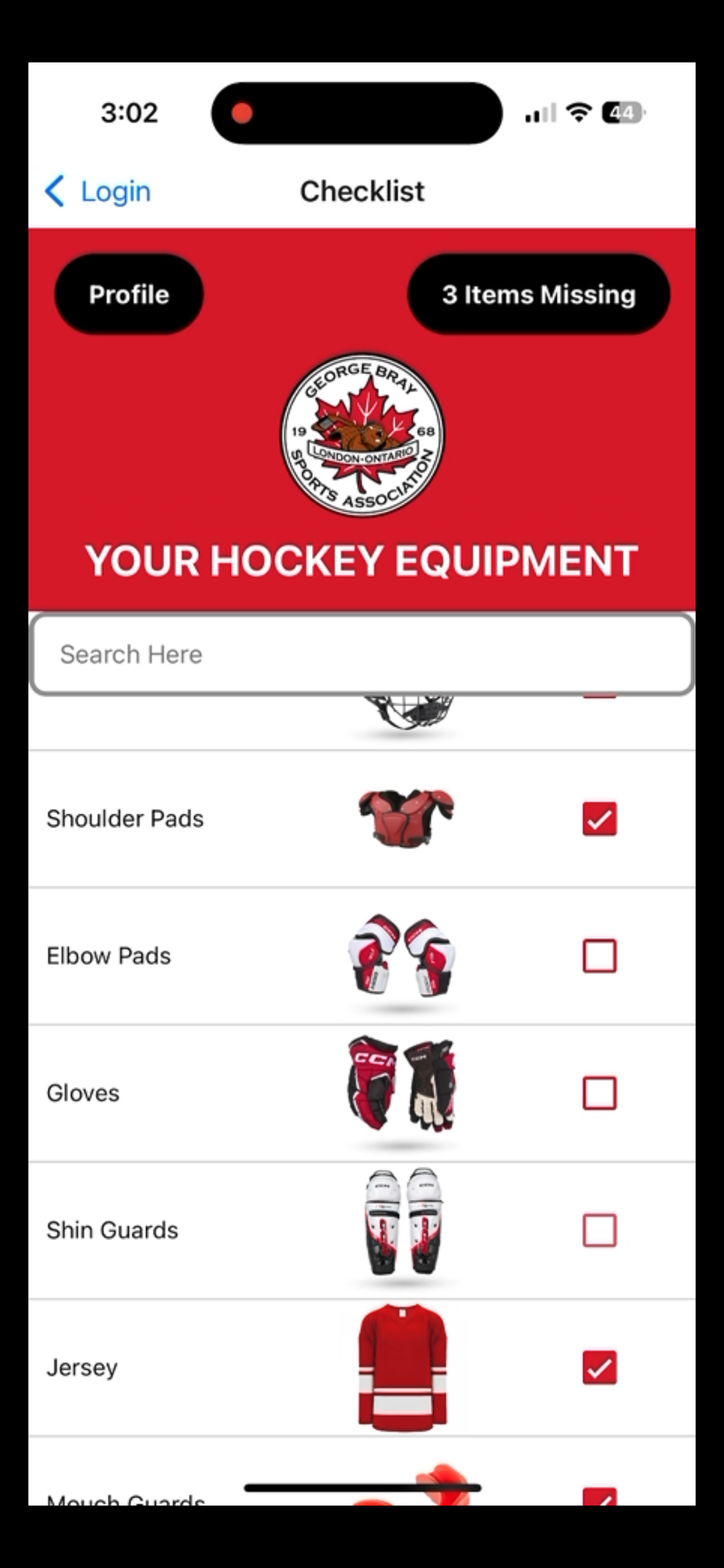 How engineering can support more inclusive hockey leagues and bolster ...