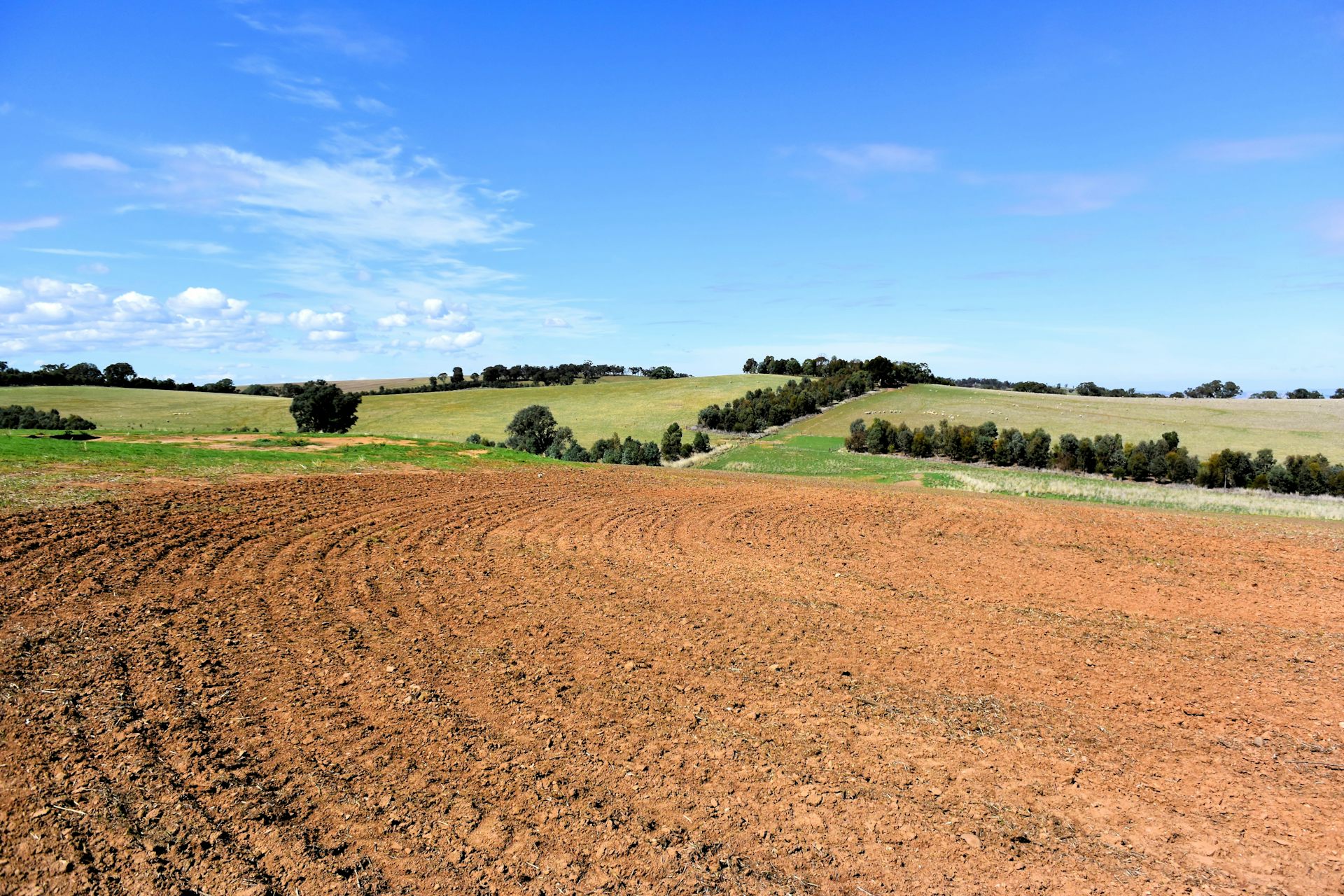 Scientists counted 49 ways Australia is destroying the ecosystems we ...