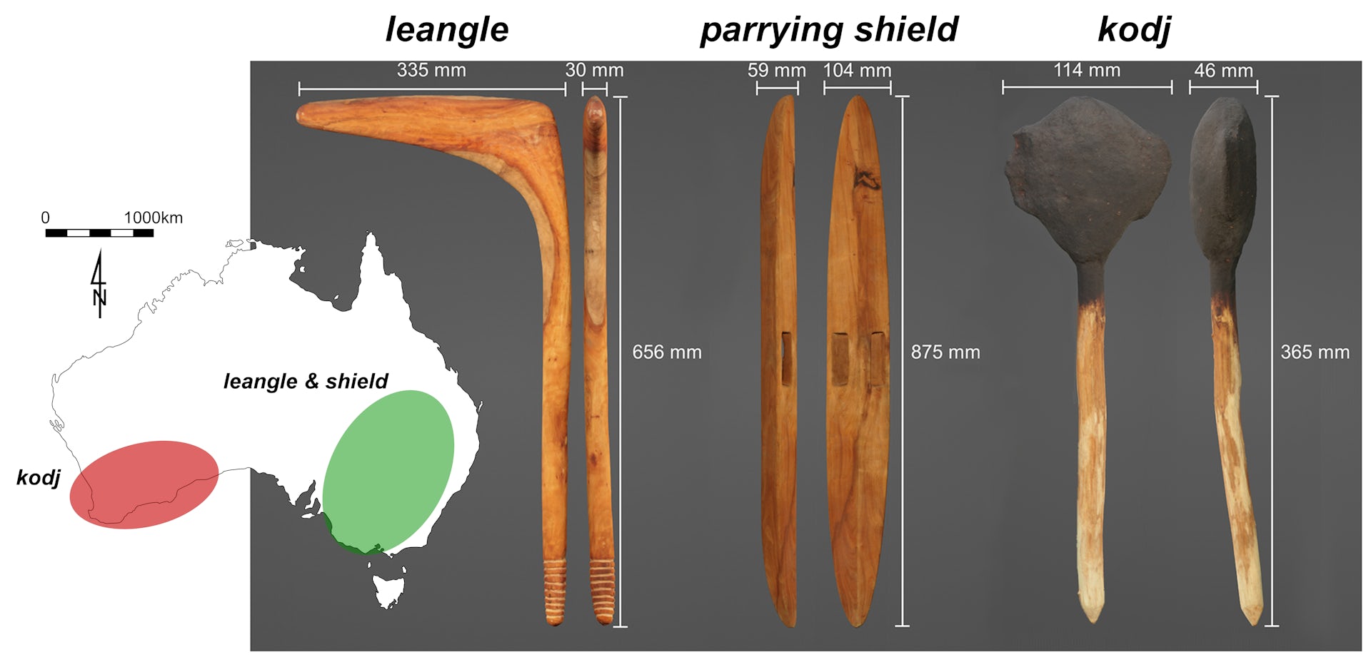 First-ever biomechanics study of Indigenous weapons shows what made ...