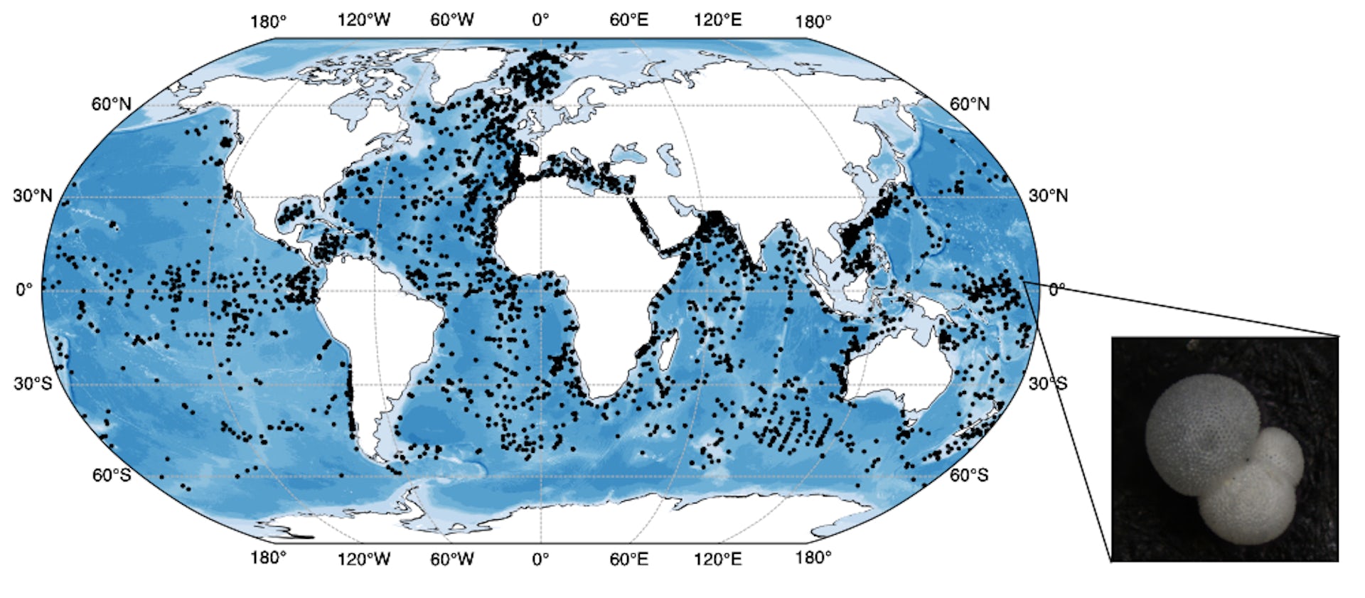 Tiny oceanic plankton adapted to warming during the last ice age, but ...