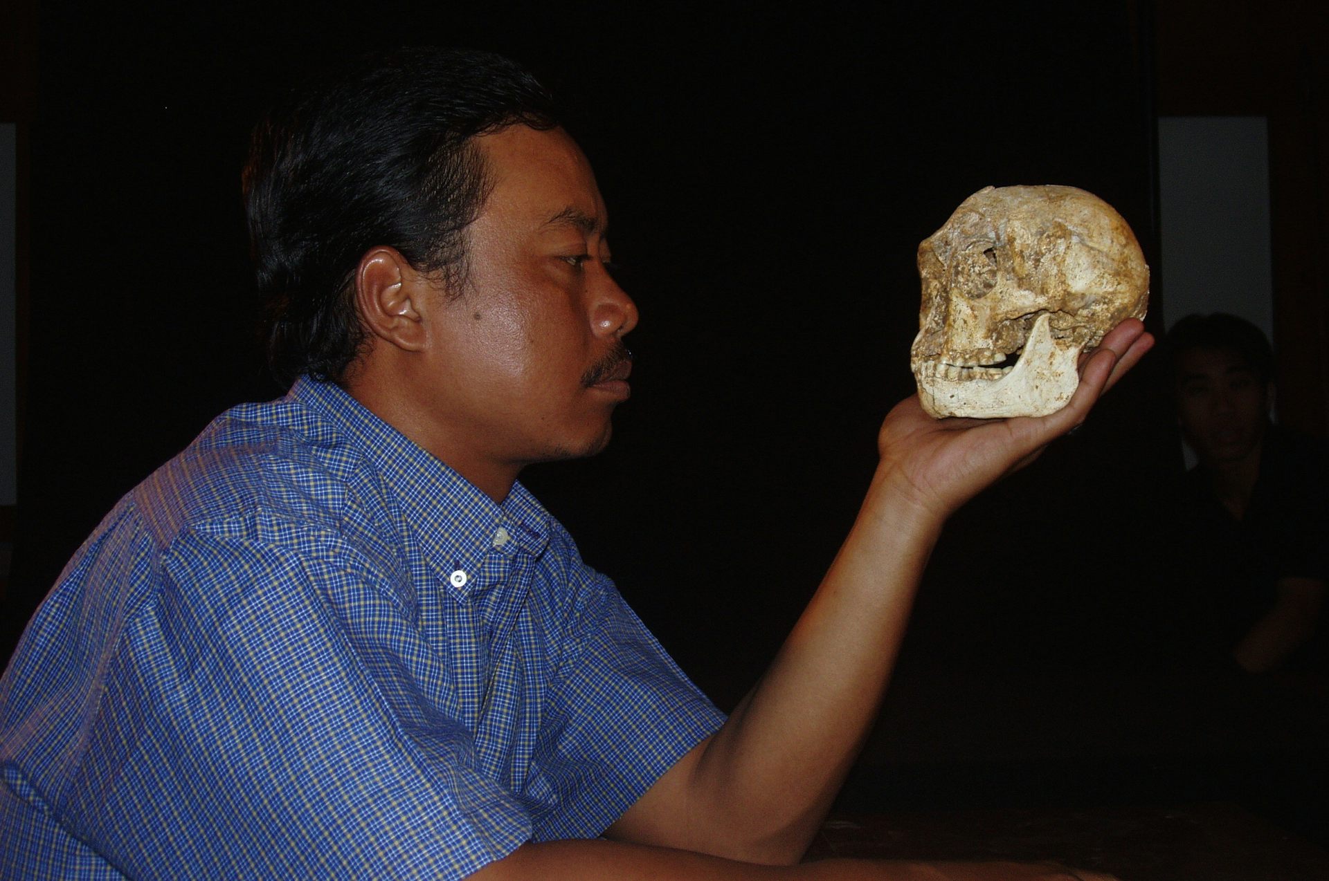 A decade on and the Hobbit still holds secrets