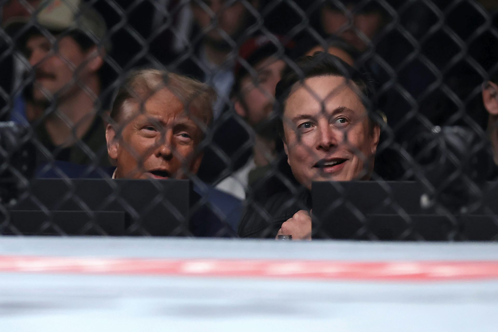 Elon Musk’s new job will bring tech ‘disruption’ to the US government ...