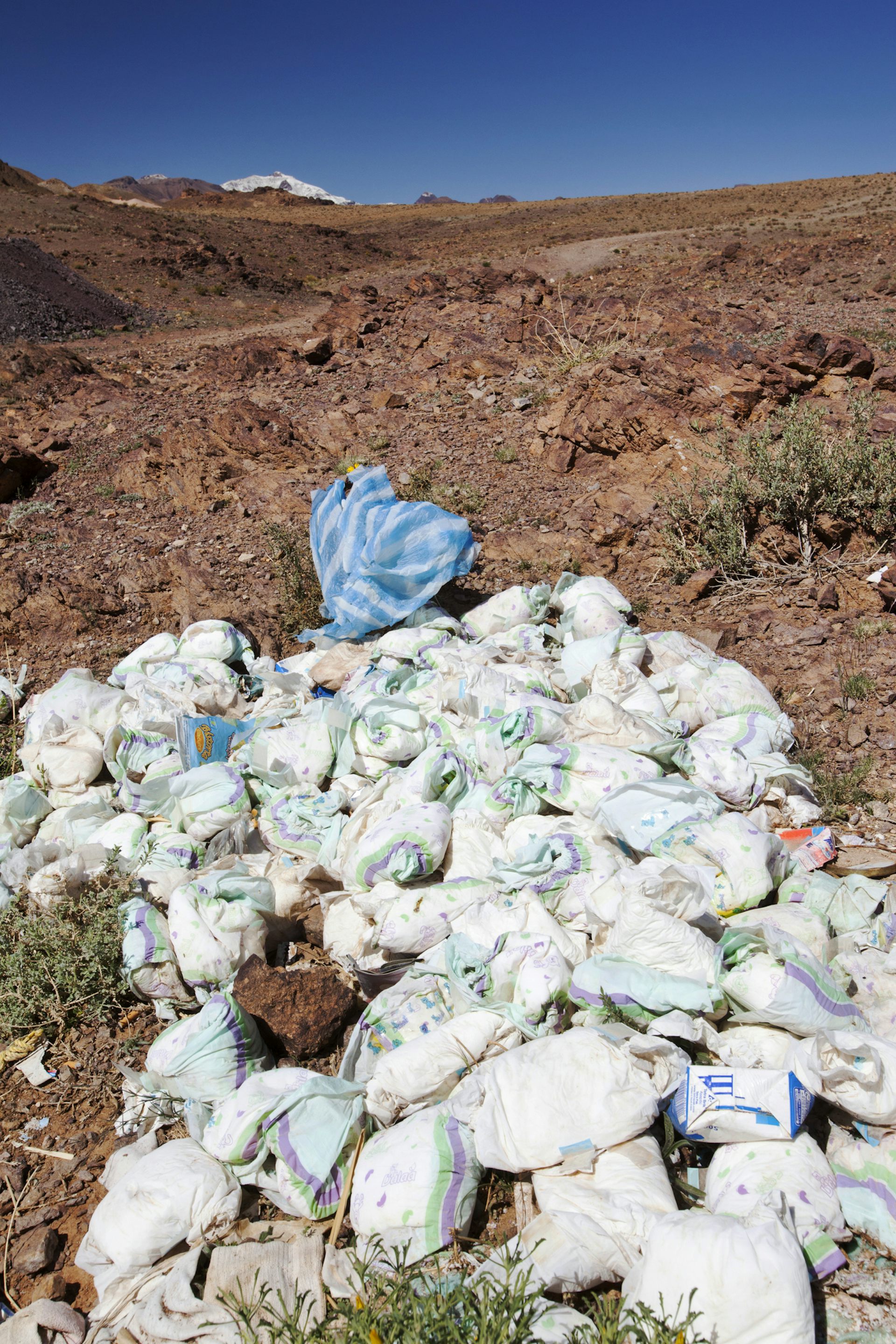 960 million dirty diapers are a big waste problem – what can be done ...