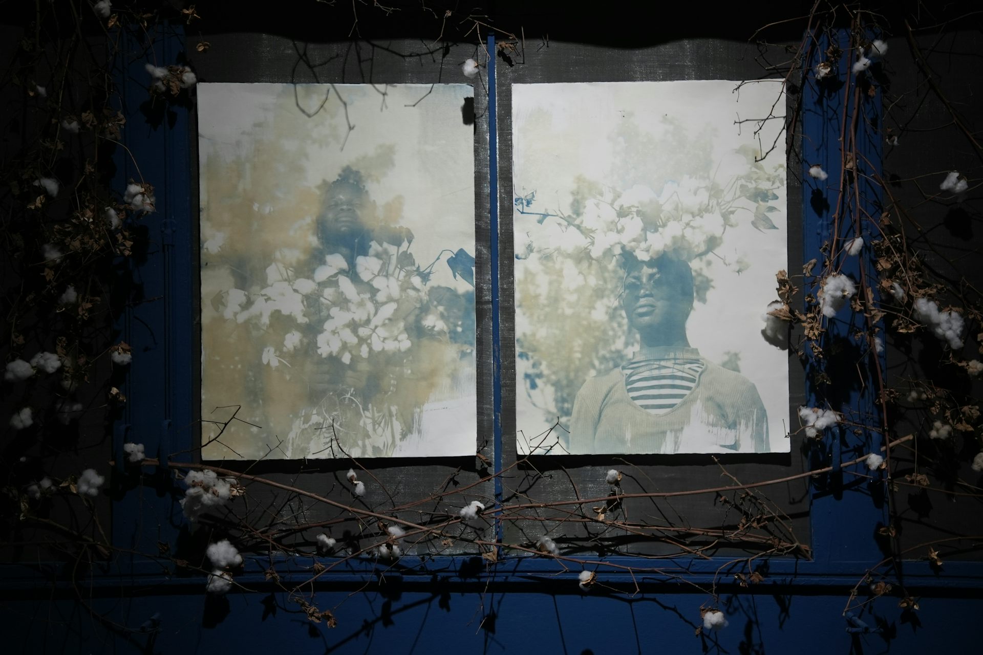 Dakar Biennale: Senegal’s big art show shines a light on a bruised planet