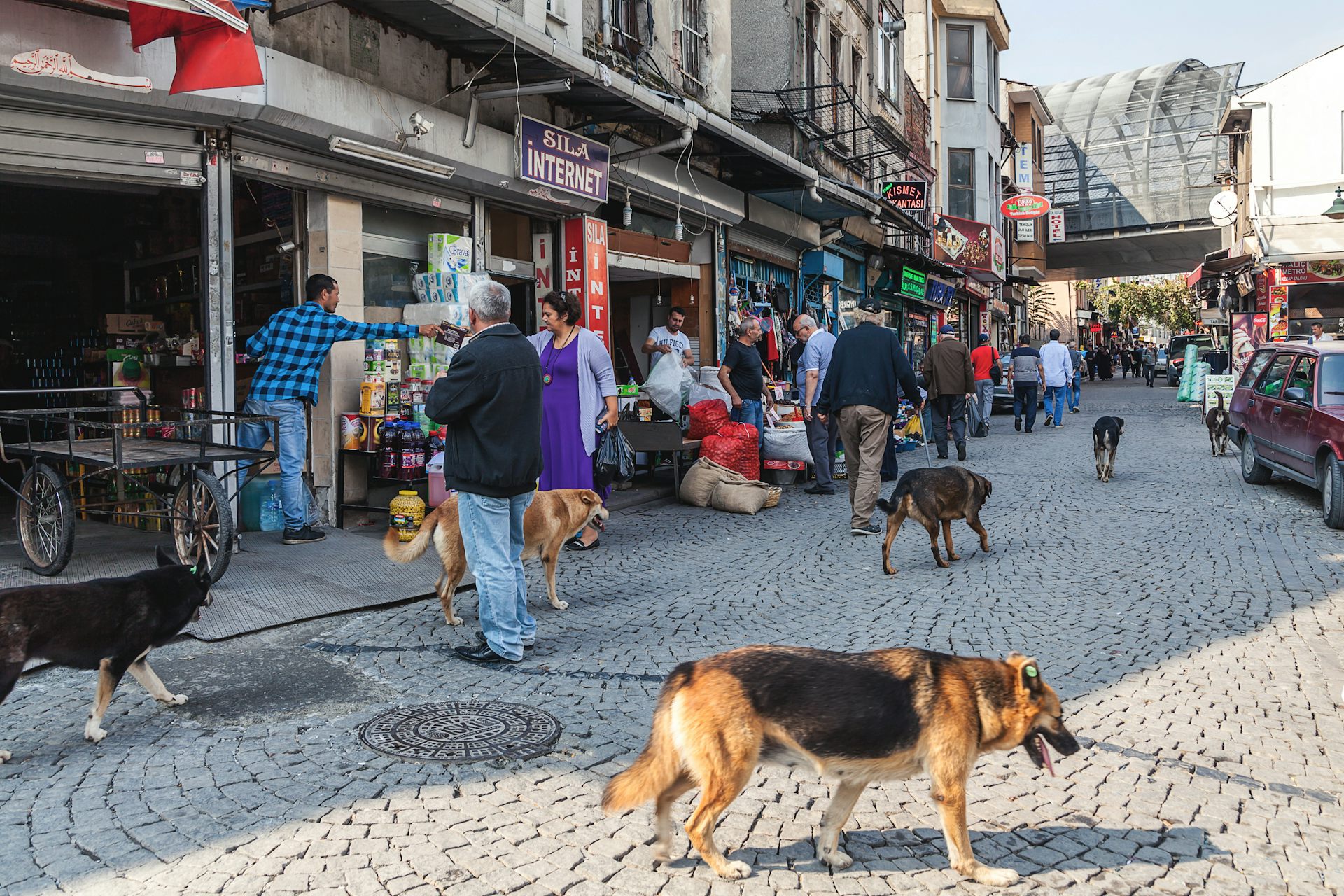 « Permis de tuer » ou sécurité publique ? En Turquie, une loi ...