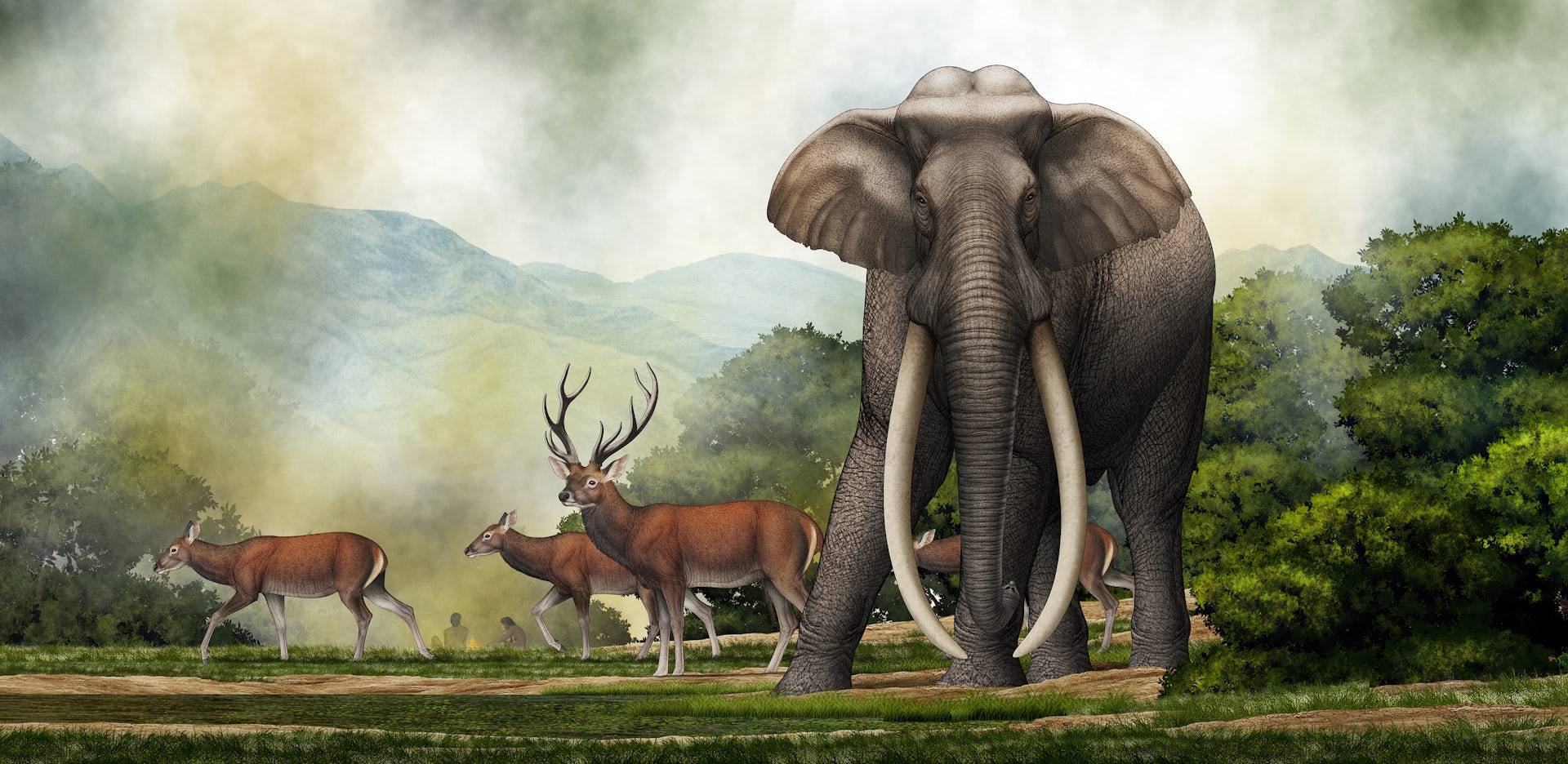 How a giant prehistoric elephant skull helped untangle an evolutionary ...