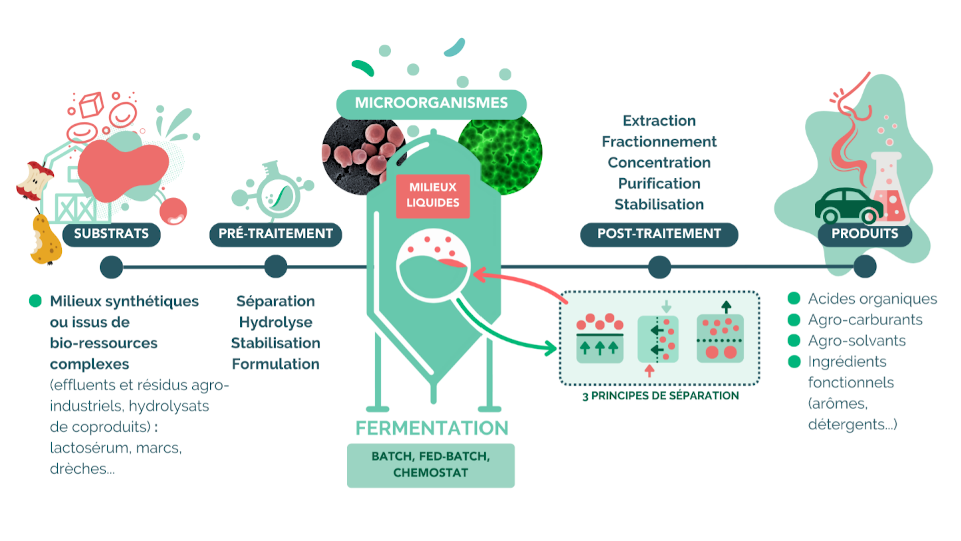 Industries chimiques, alimentaires, pharmaceutiques : se passer de la ...