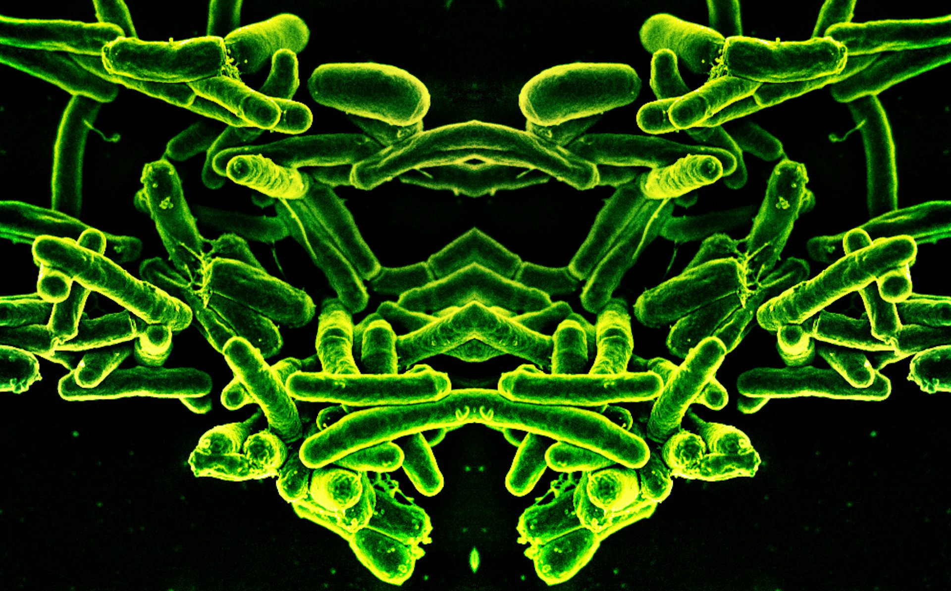 ‘Mirror life forms’ may sound like science fiction, but scientists warn ...