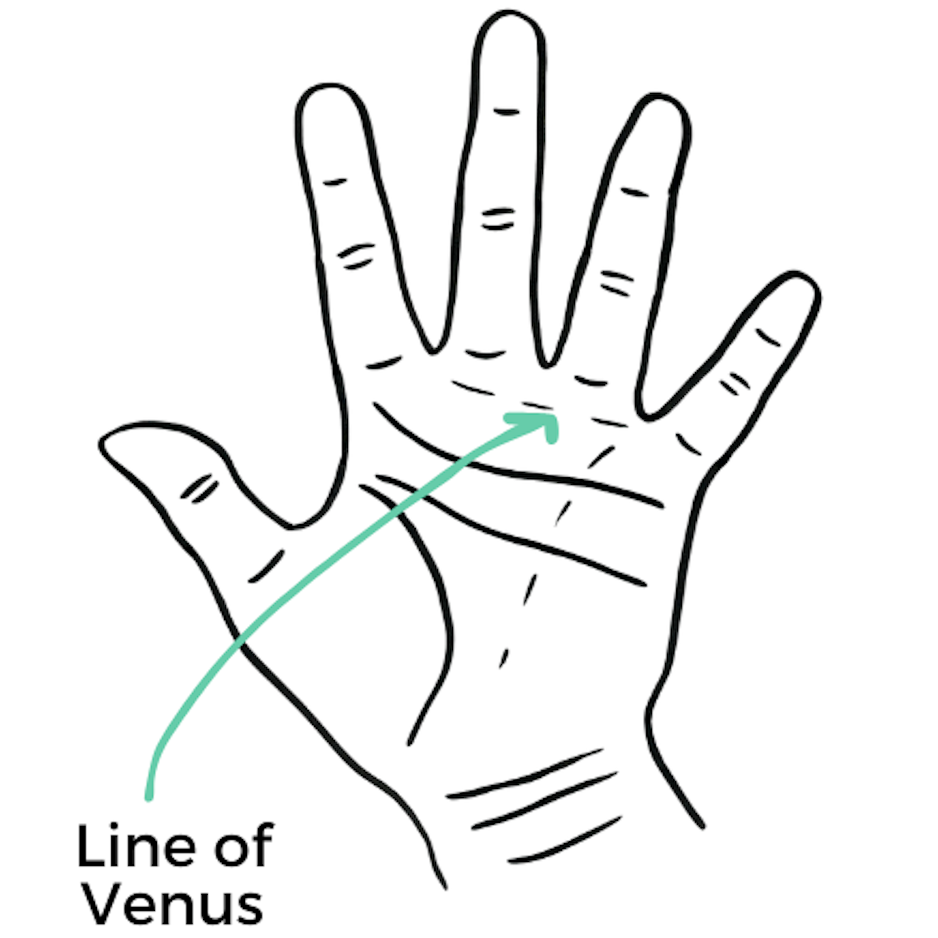 A short history of palm reading in the UK – and a guide to how it’s ...