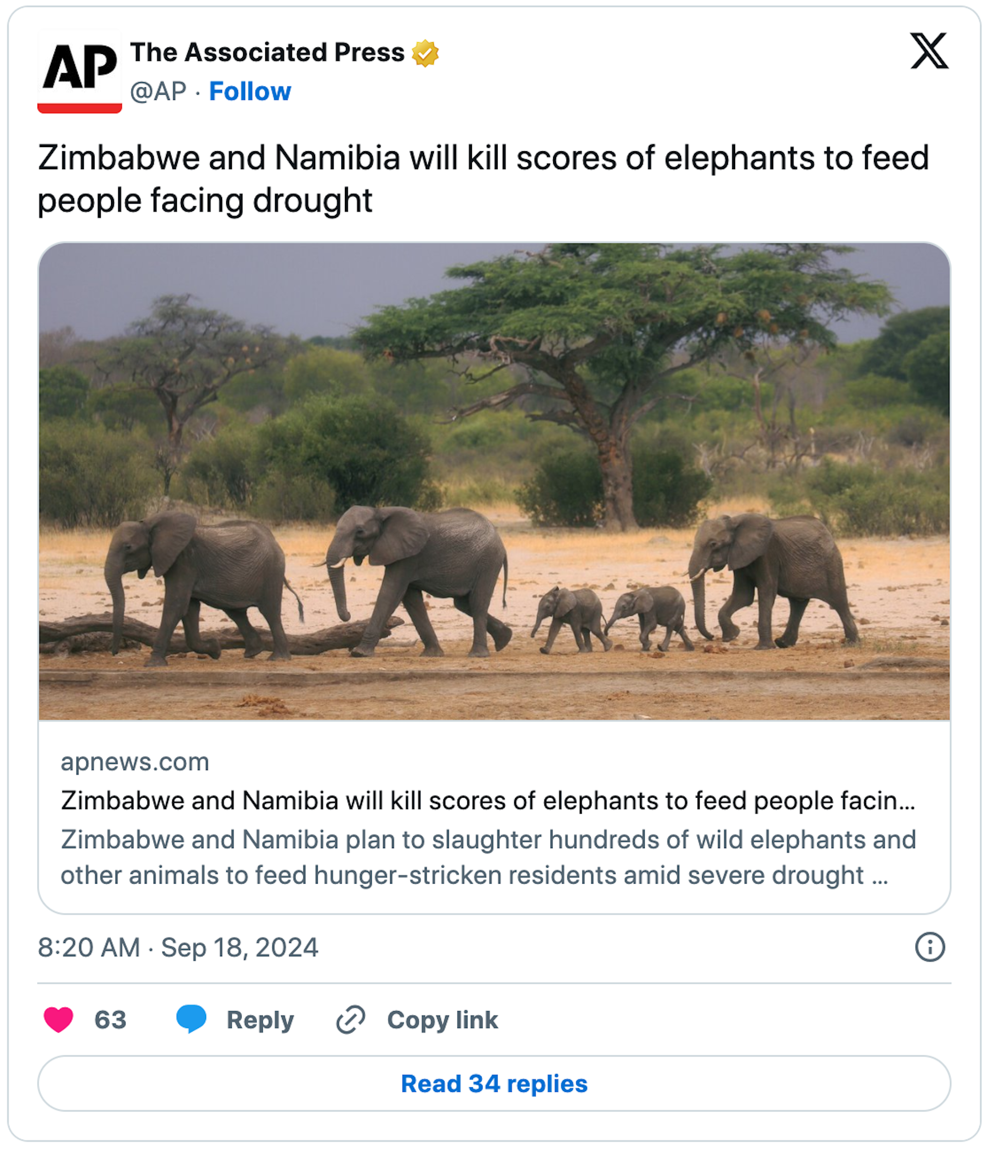 Un éléphant dans le jardin : conflits mortels entre pachydermes et ...