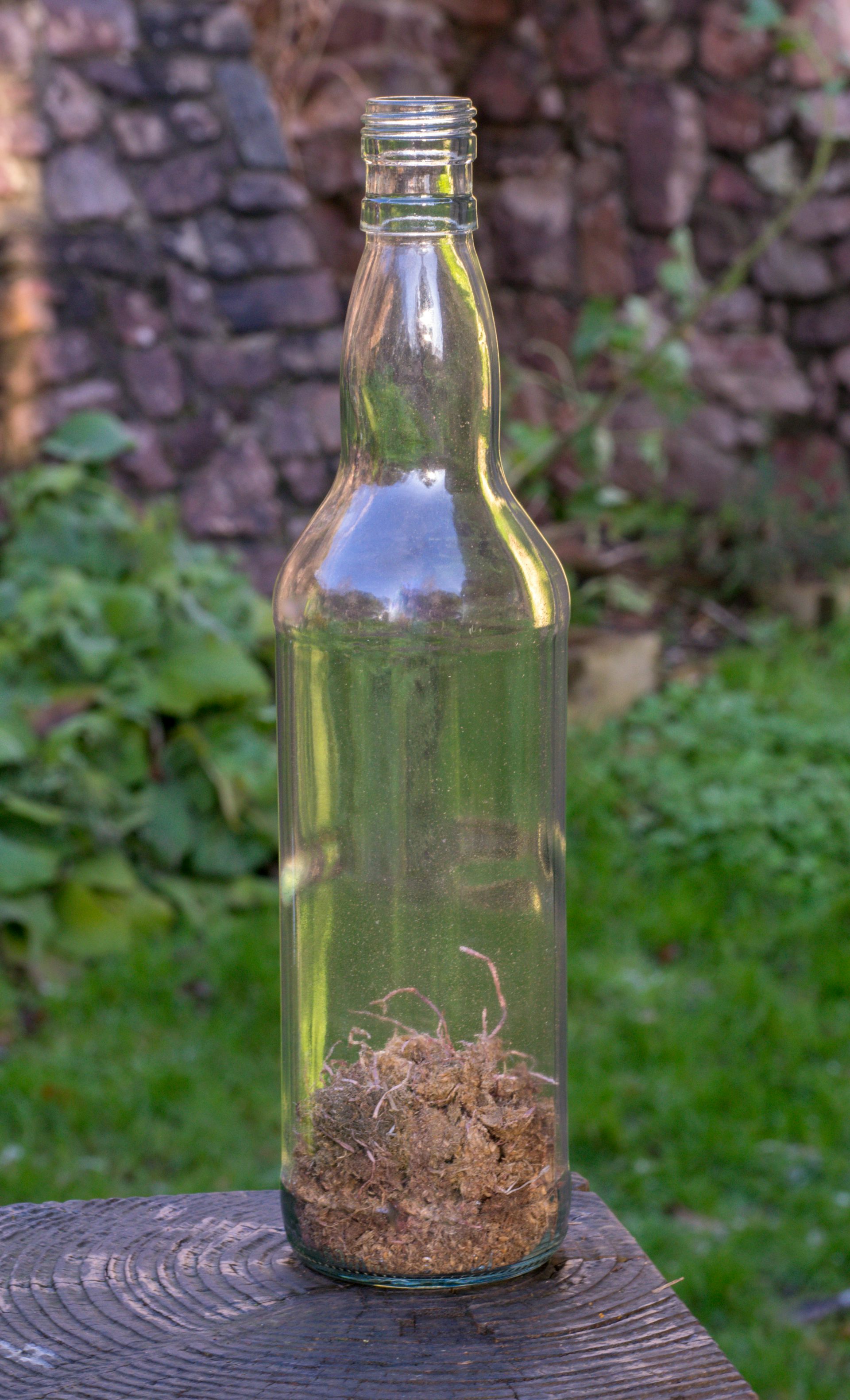 Why peat is a key ingredient in whisky and the climate crisis