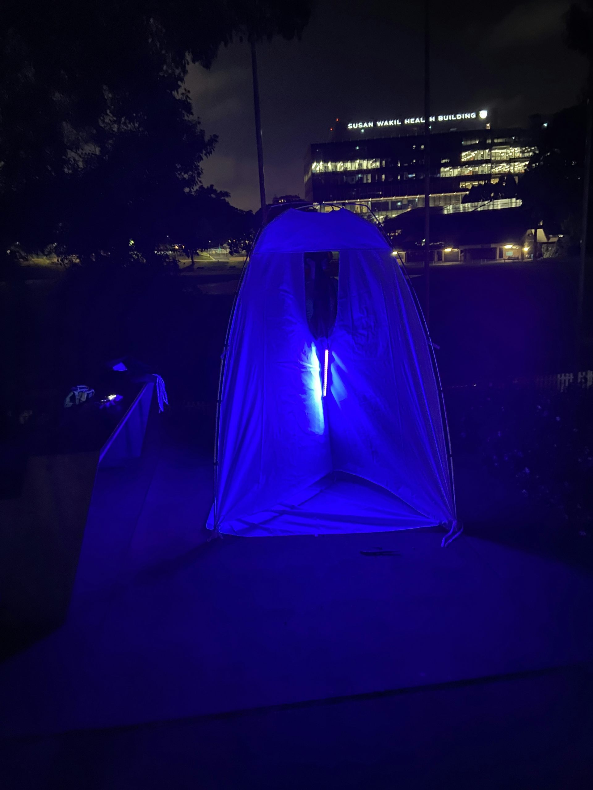 While you sleep, these insects are working hard on the night shift to ...