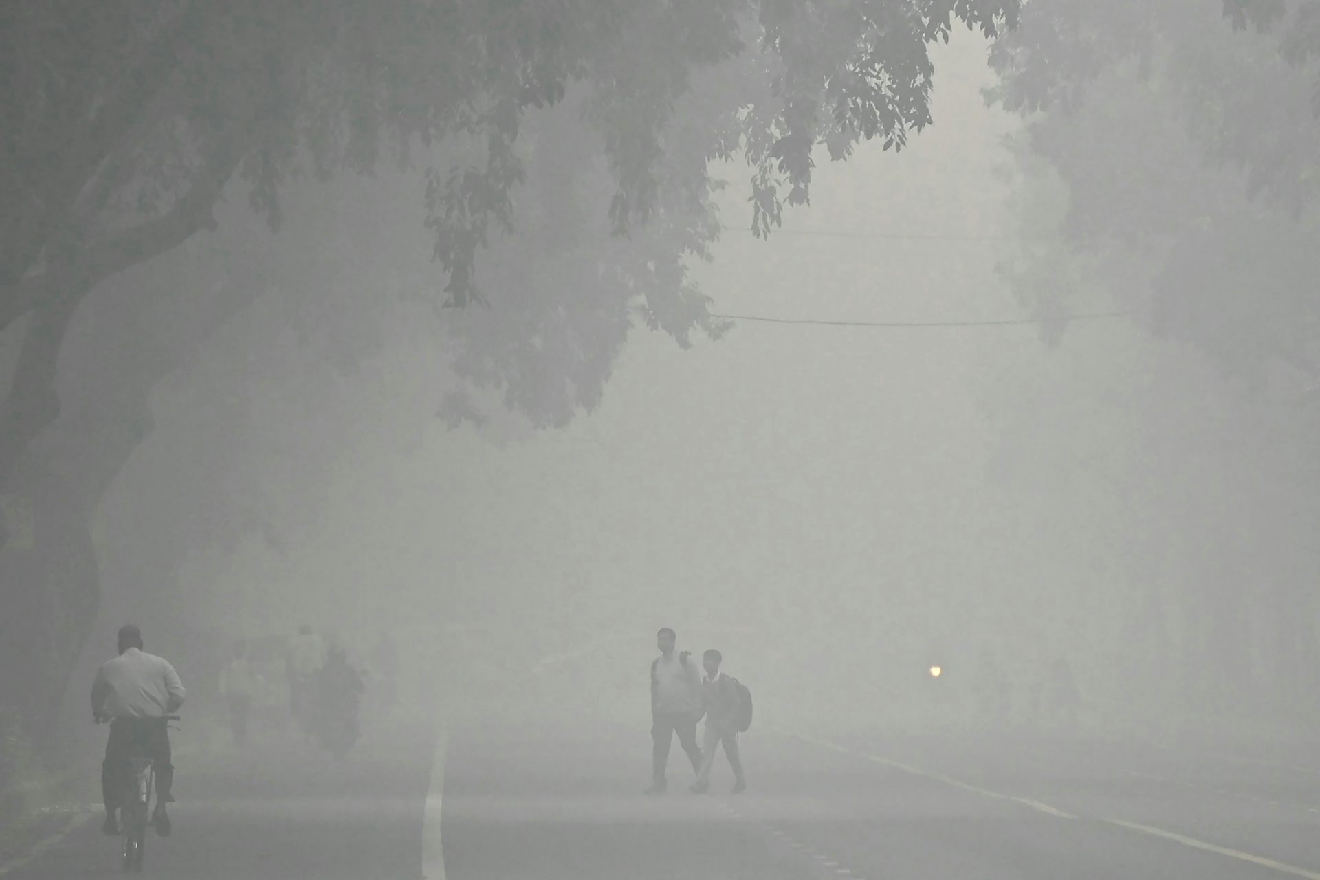Smog à Delhi : la pollution agricole fait tousser la mégapole, mais n ...