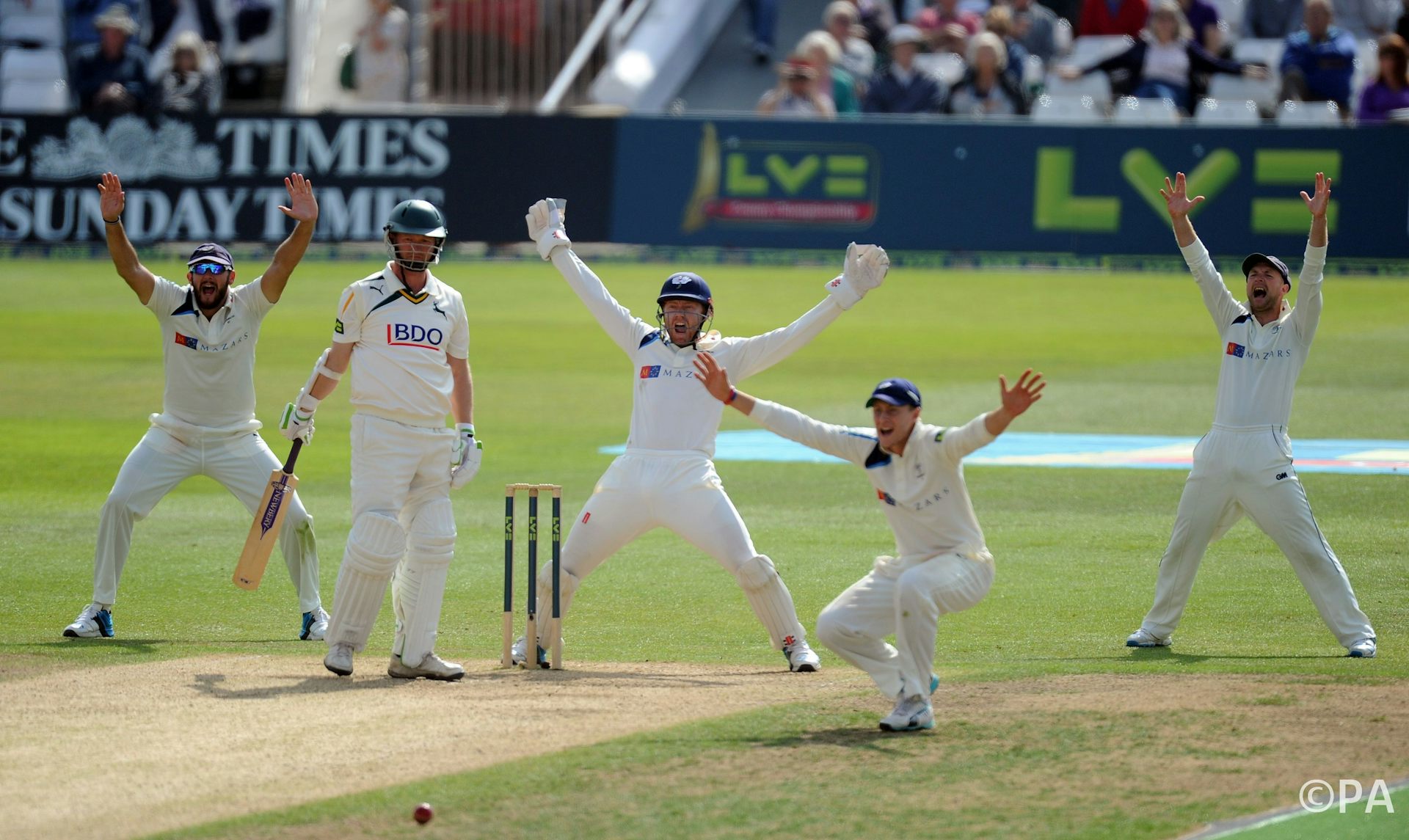 Domestic cricket must embrace the digital age to prosper