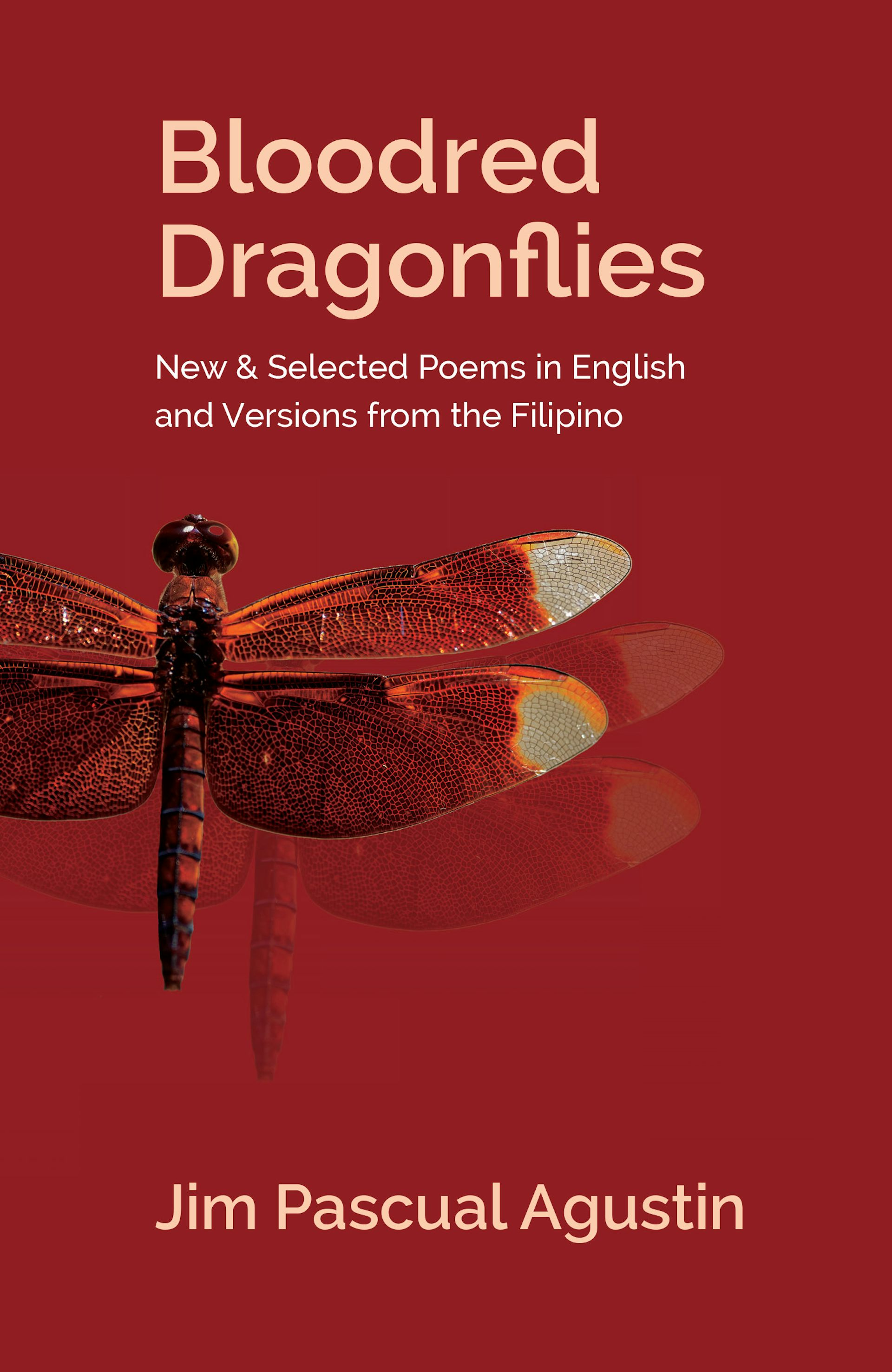 South African poetry has a new digital archive – what’s behind the project