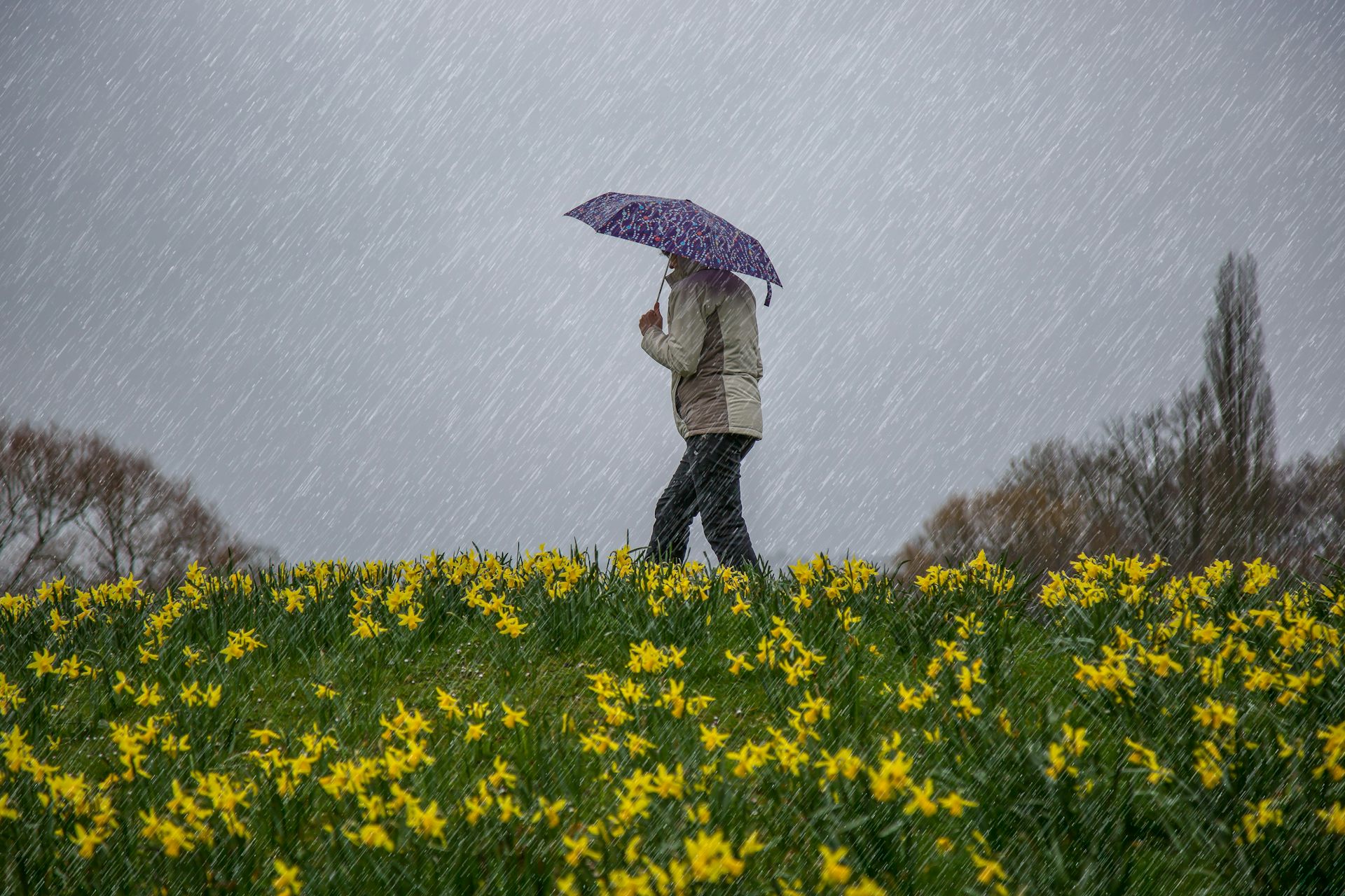 Can aching joints really predict the weather? Exploring the science ...