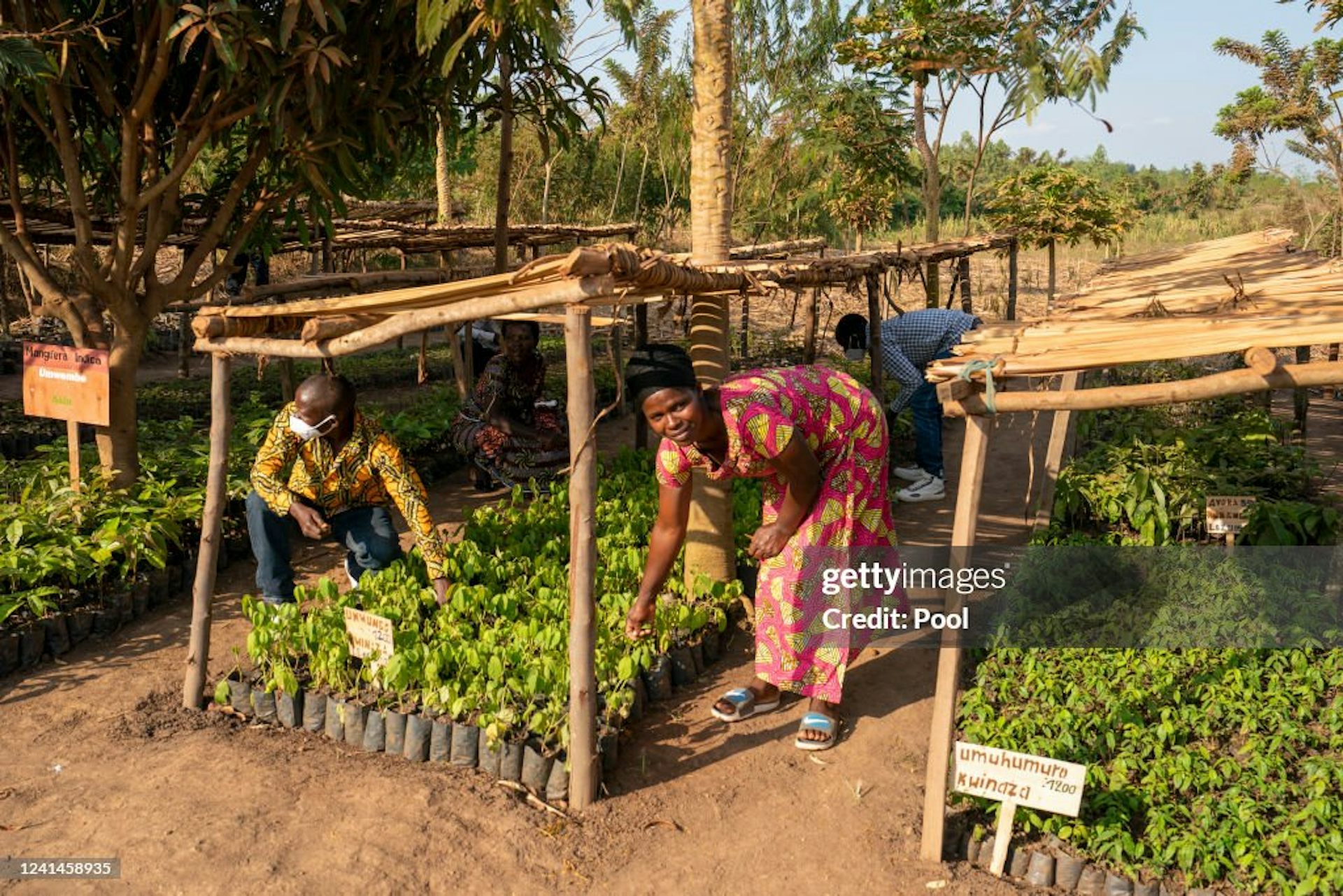 Can nature help solve human problems like climate change? Researchers ...