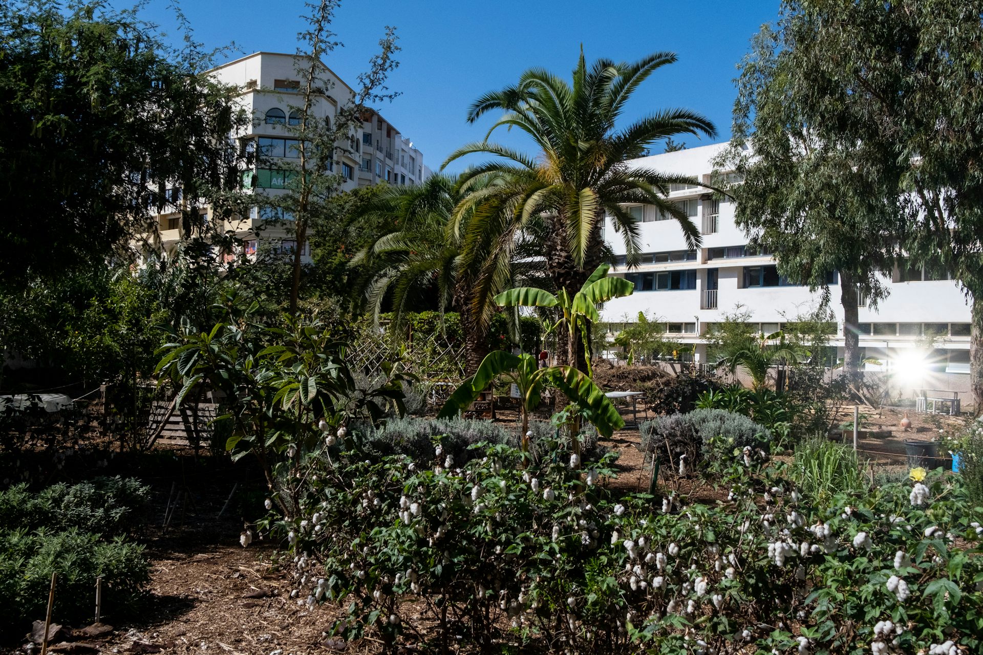 Can nature help solve human problems like climate change? Researchers ...