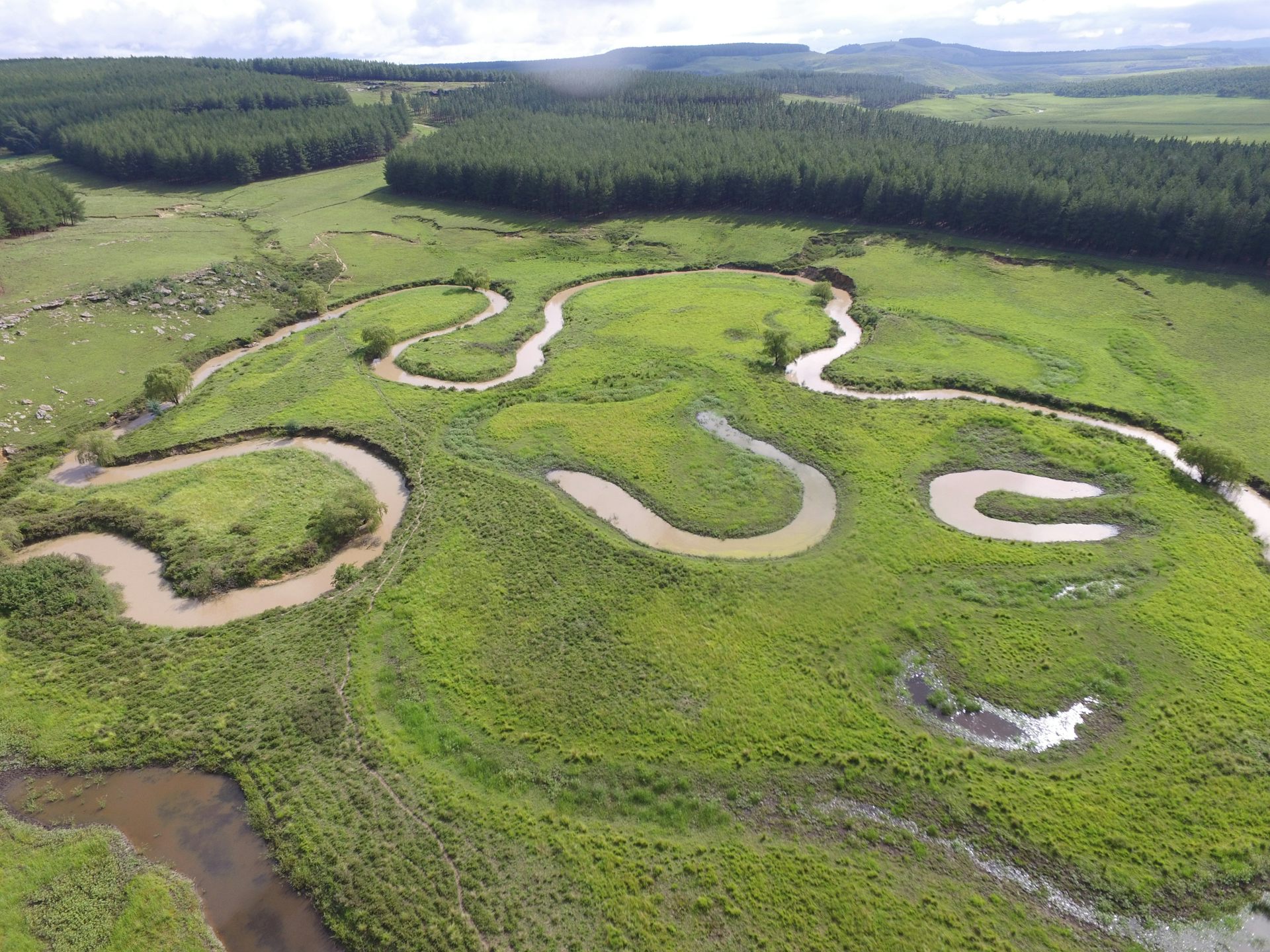 Green skills to help nature repair itself are scarce: what we’re doing ...